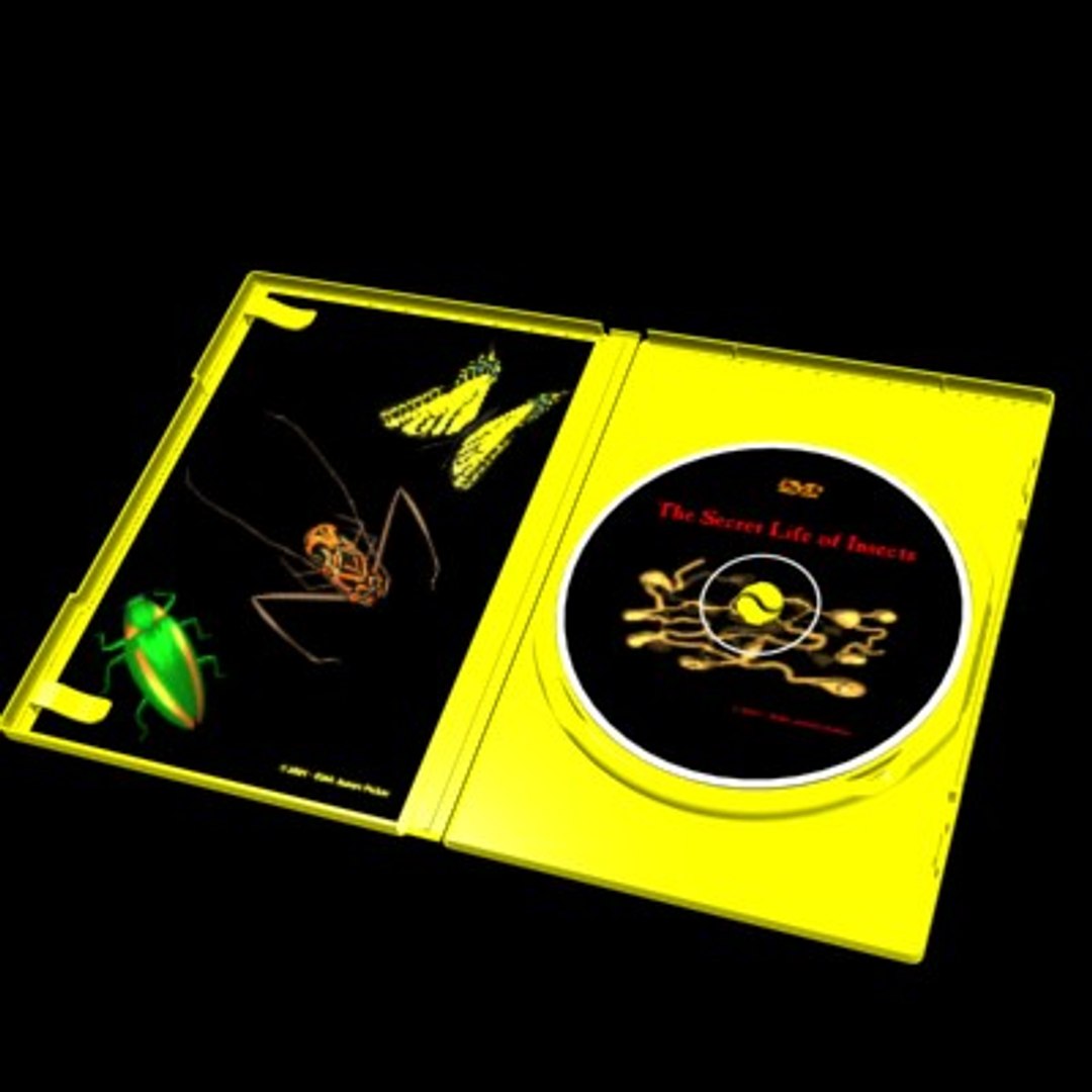 dvd case 3d model