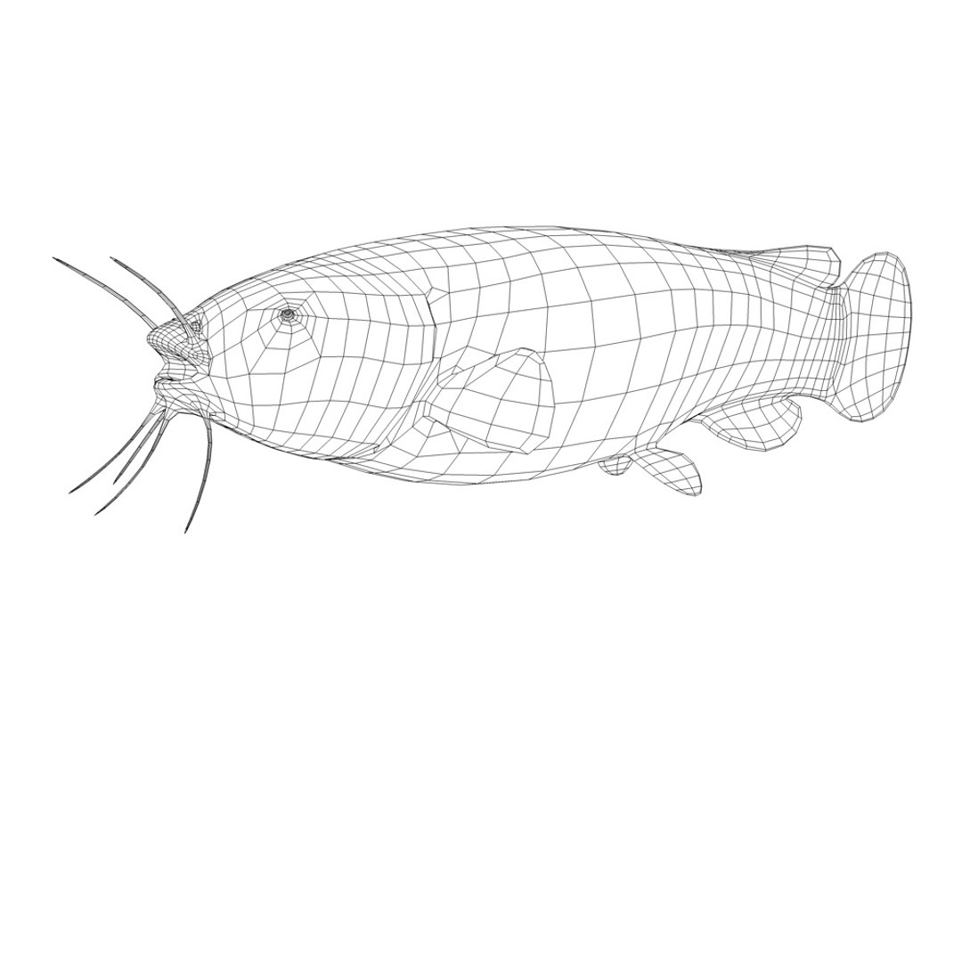 3d Model Electric Catfish