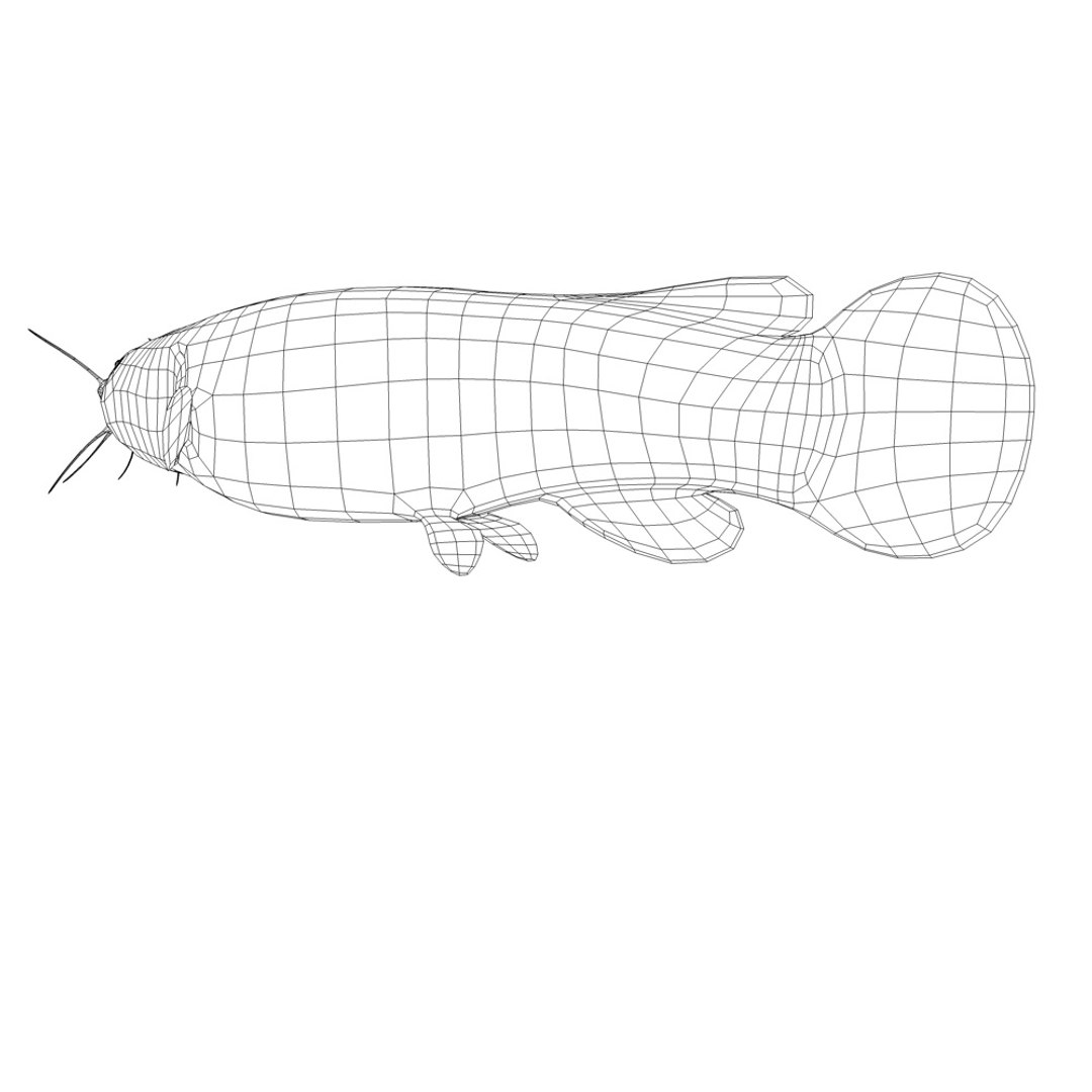 3d Model Electric Catfish