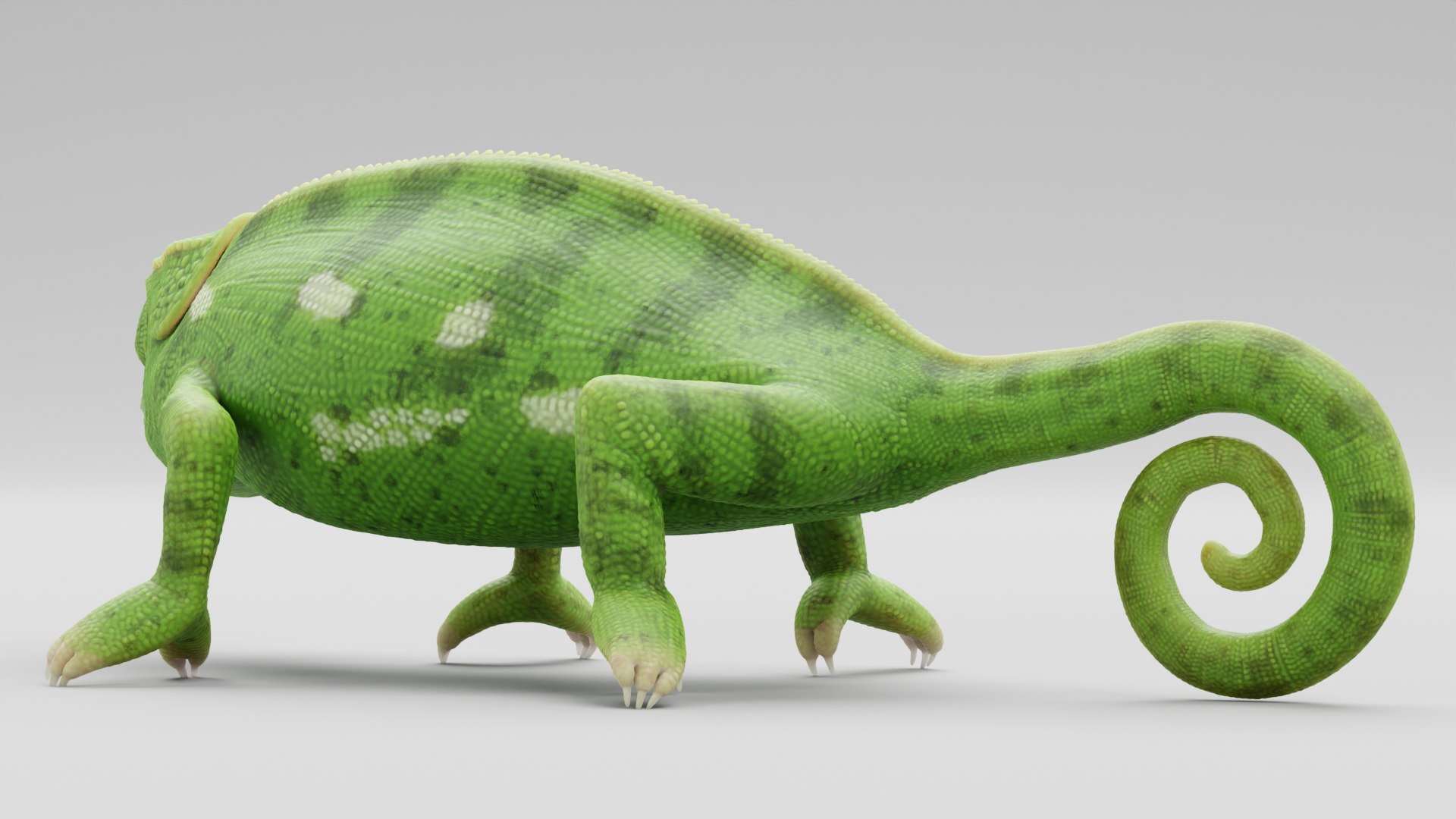 3D Flap Necked Chameleon Rigged Model - TurboSquid 1927465