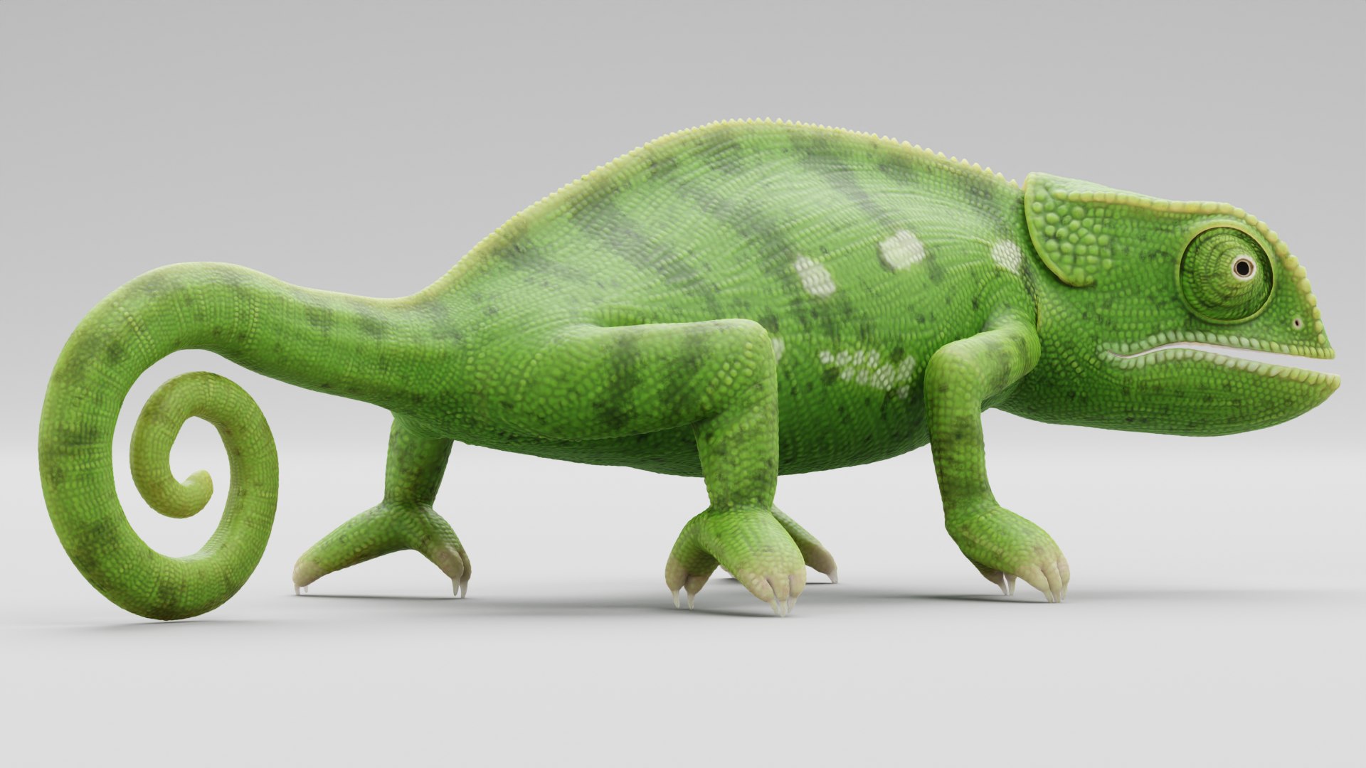 3D Flap Necked Chameleon Rigged Model - TurboSquid 1927465