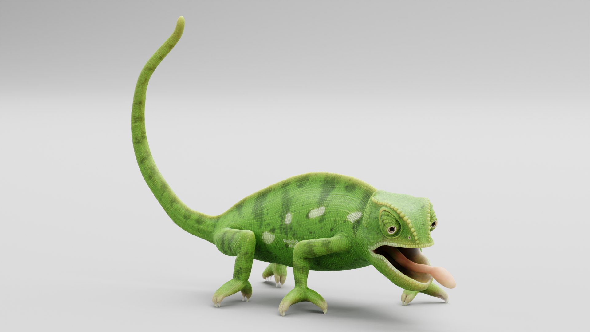 3D Flap Necked Chameleon Rigged Model - TurboSquid 1927465