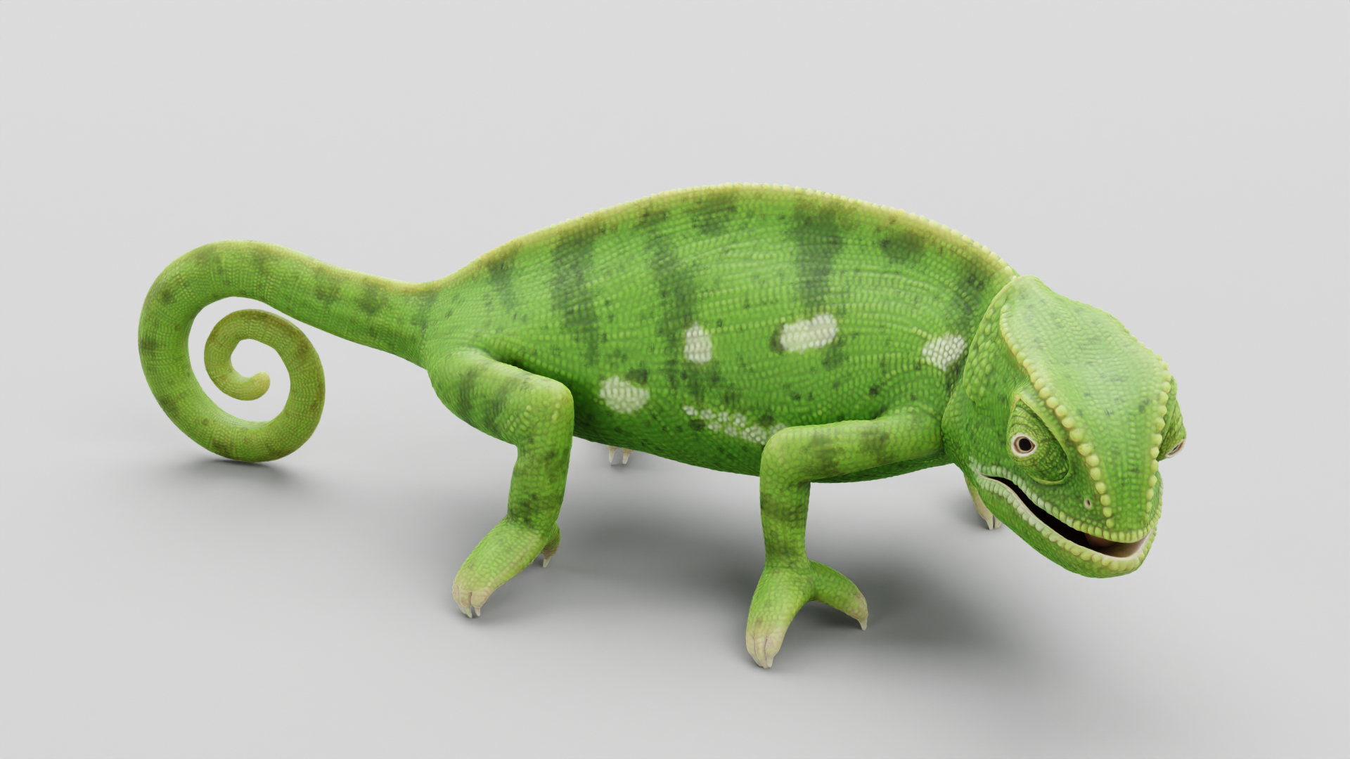 3D Flap Necked Chameleon Rigged Model - TurboSquid 1927465