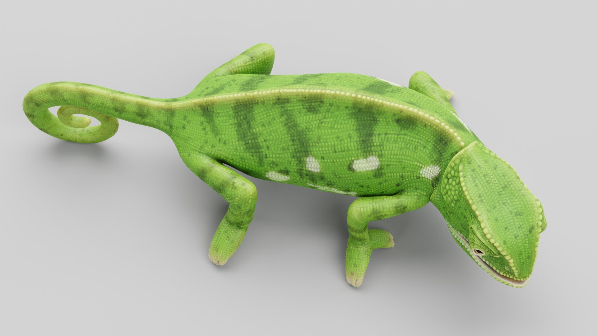 3D Flap Necked Chameleon Rigged Model - TurboSquid 1927465