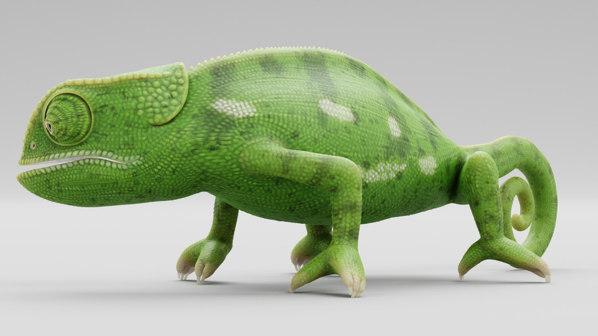 3D Flap Necked Chameleon Rigged Model - TurboSquid 1927465