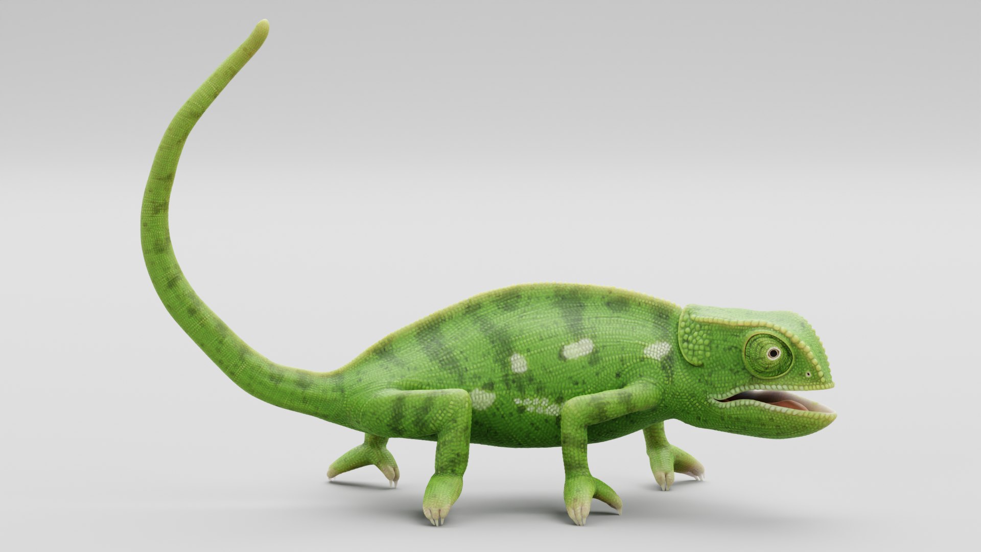 3D Flap Necked Chameleon Rigged Model - TurboSquid 1927465