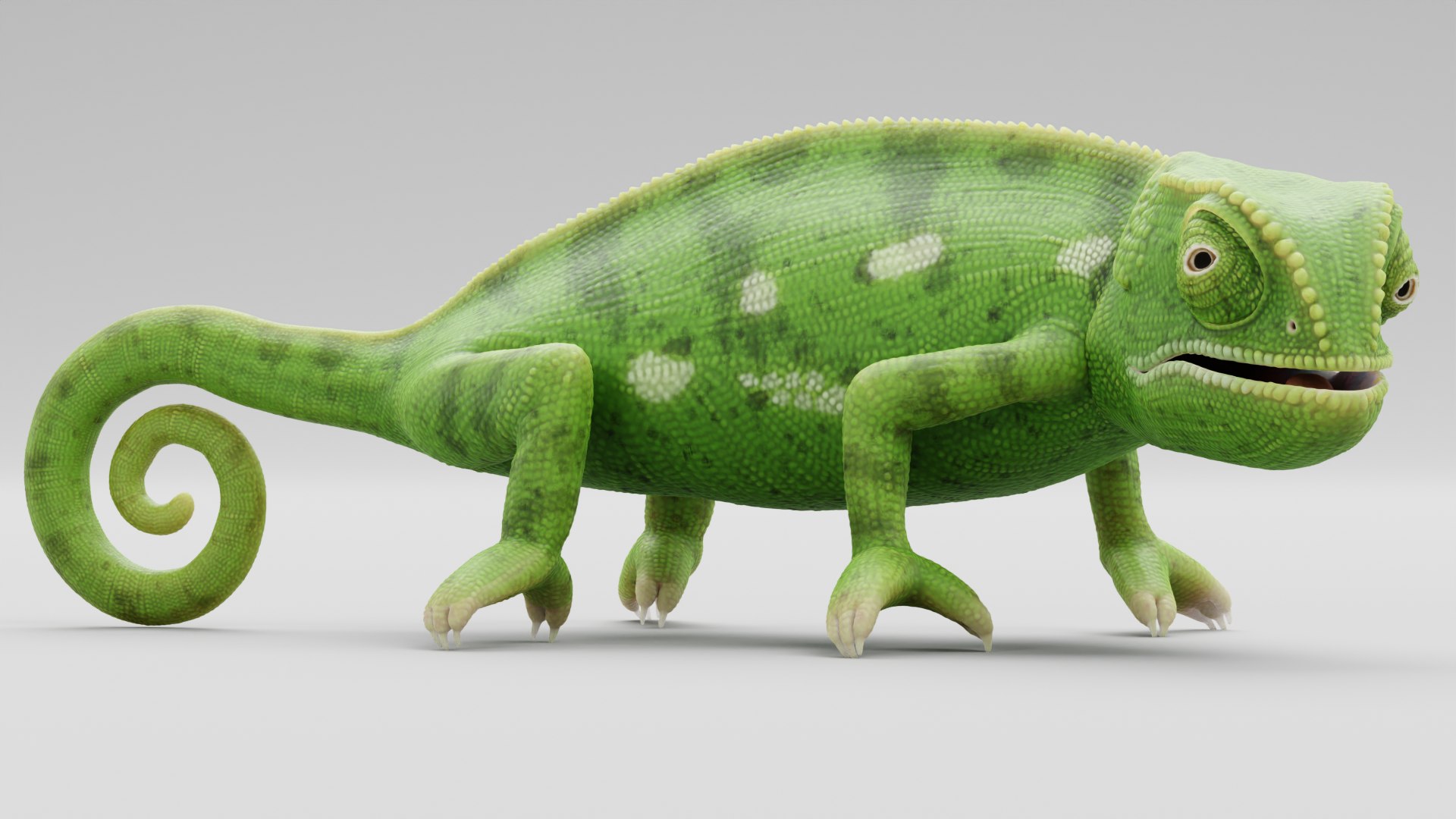 3D Flap Necked Chameleon Rigged Model - TurboSquid 1927465