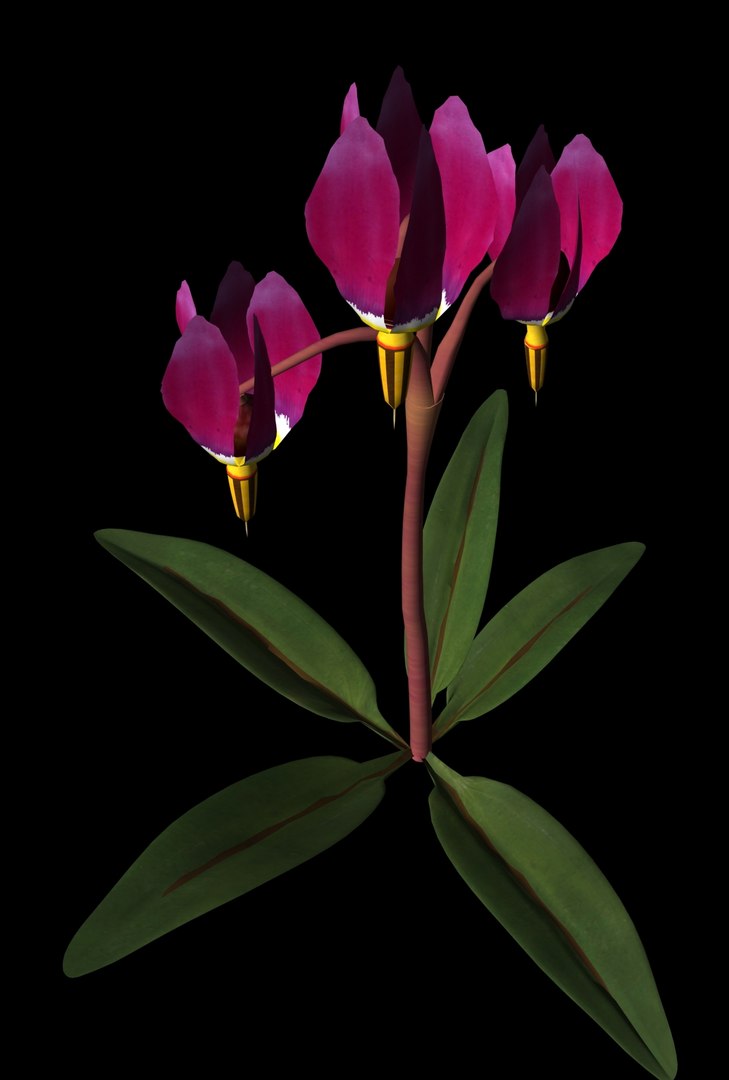 3ds Max Plant Flower