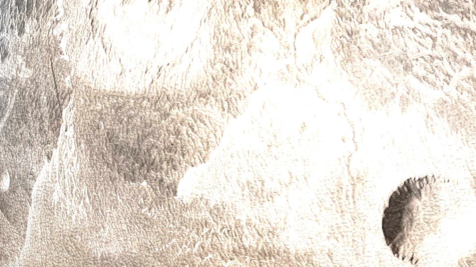 3D Ceres Model - TurboSquid 1849404