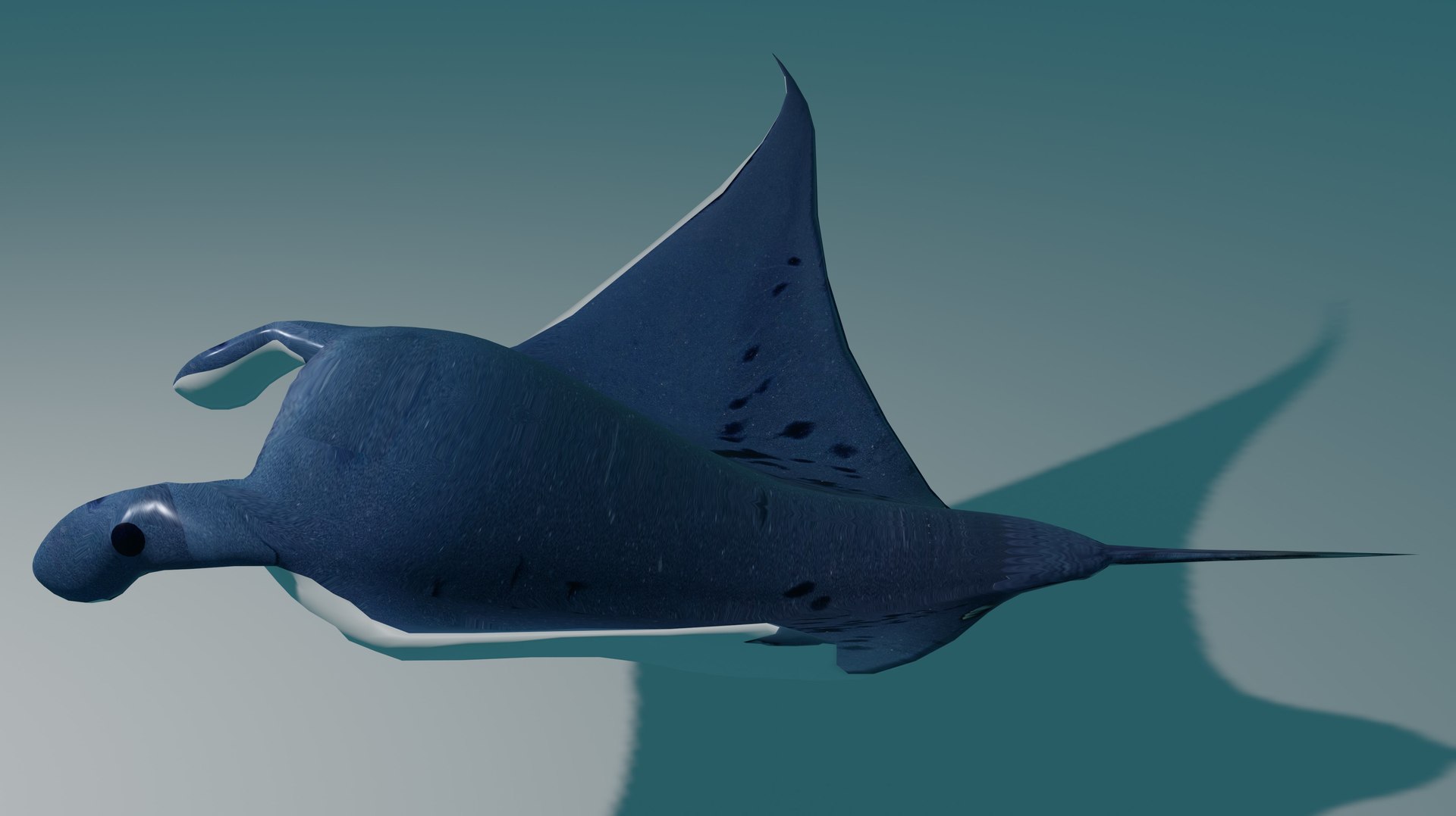 Manta Ray And Shark 2xPack 3D Model - TurboSquid 2256628