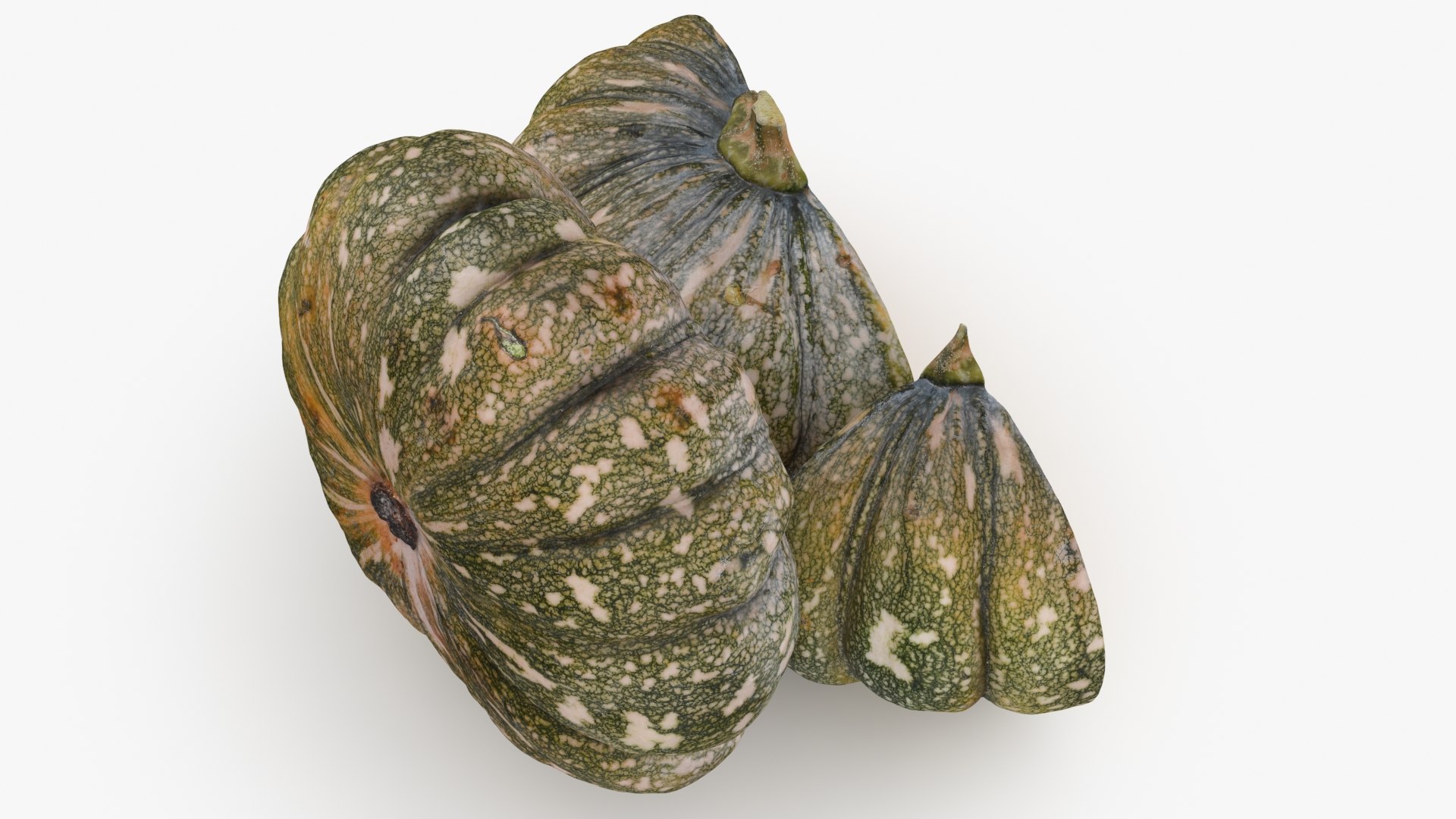 3D Asian Pumpkin - TurboSquid 2235651