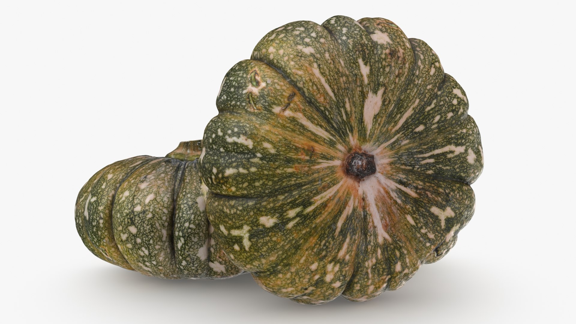 3D Asian Pumpkin - TurboSquid 2235651