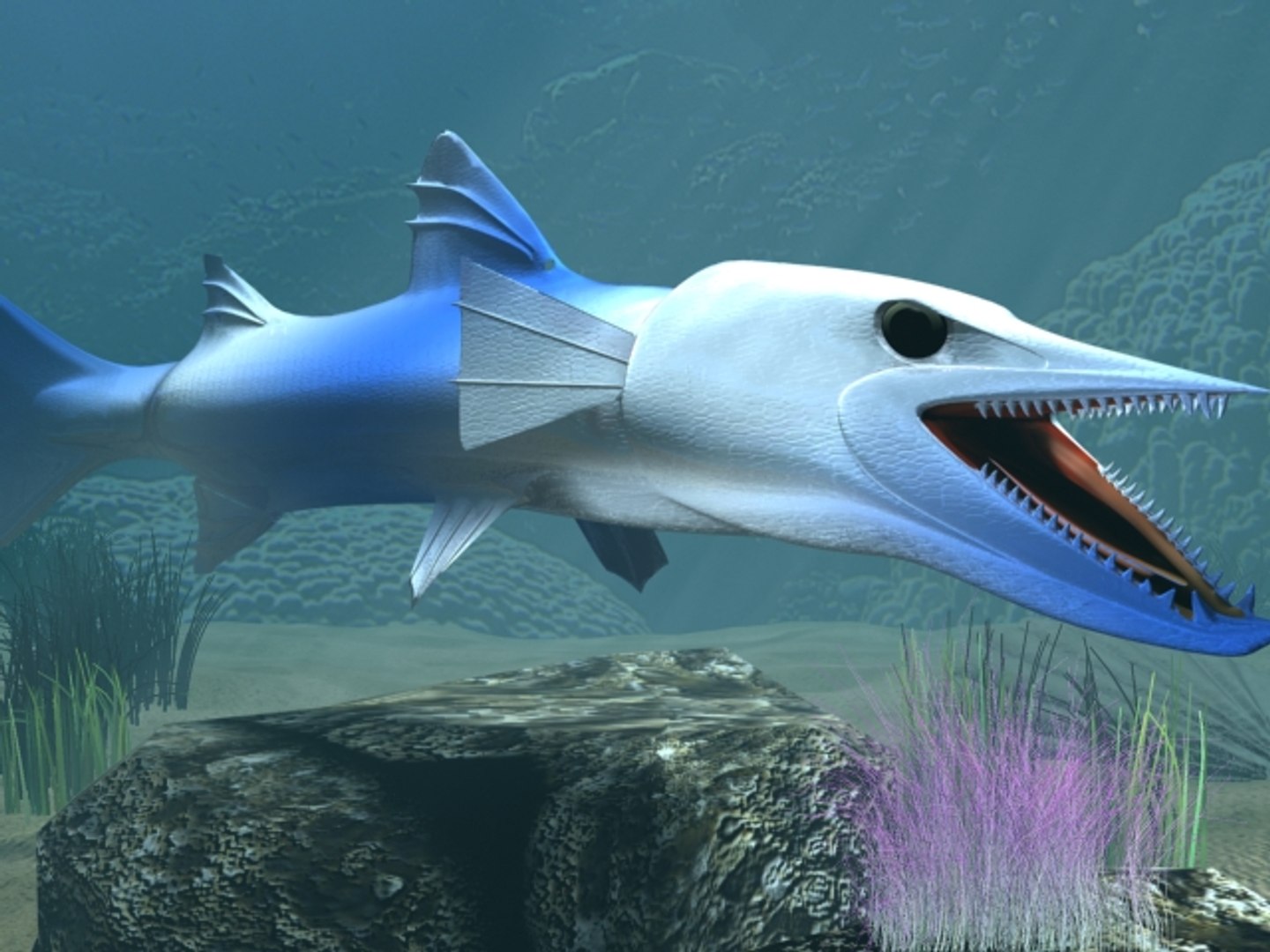 Killer Barracuda 3d Model