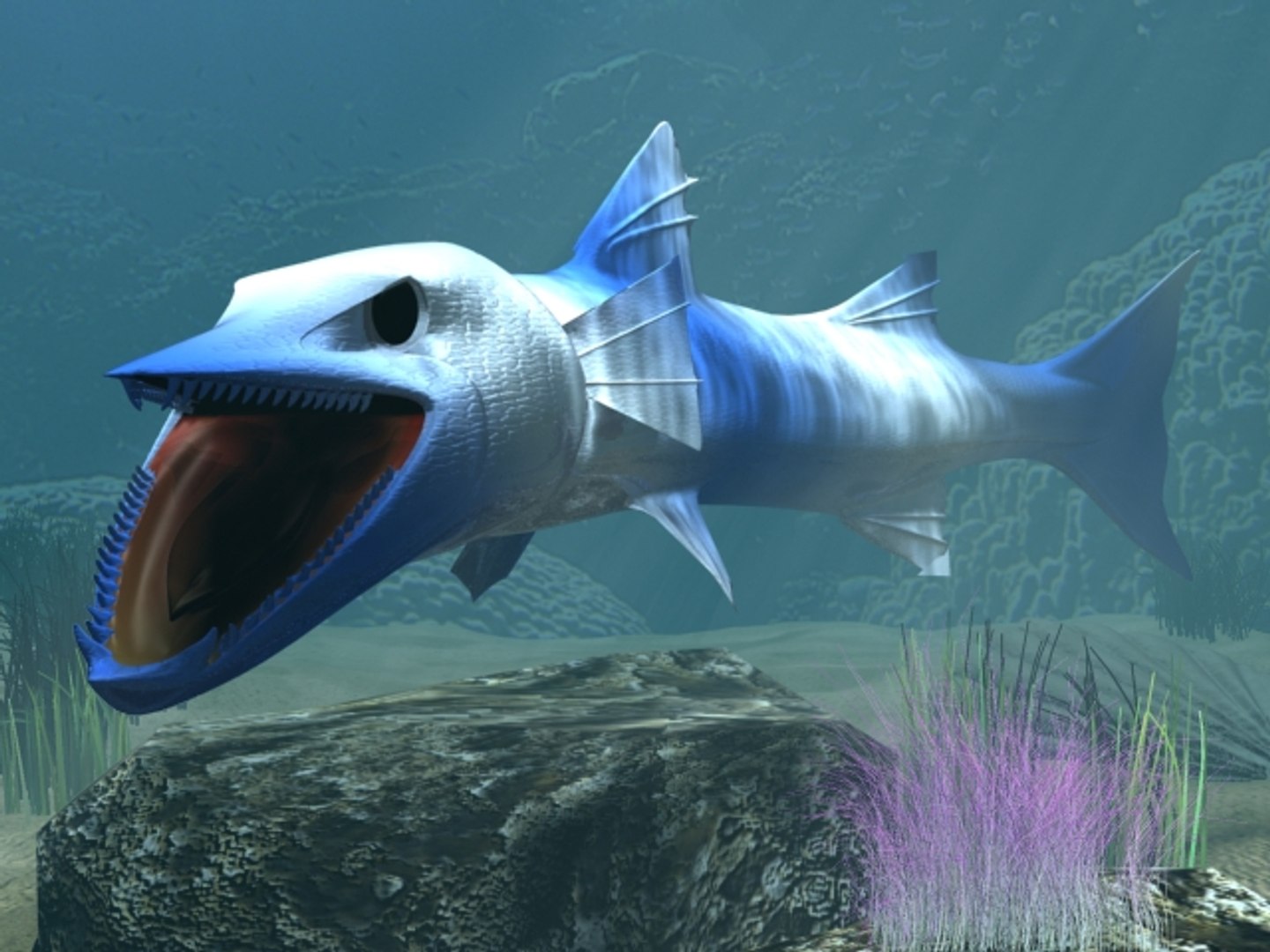killer barracuda 3d model