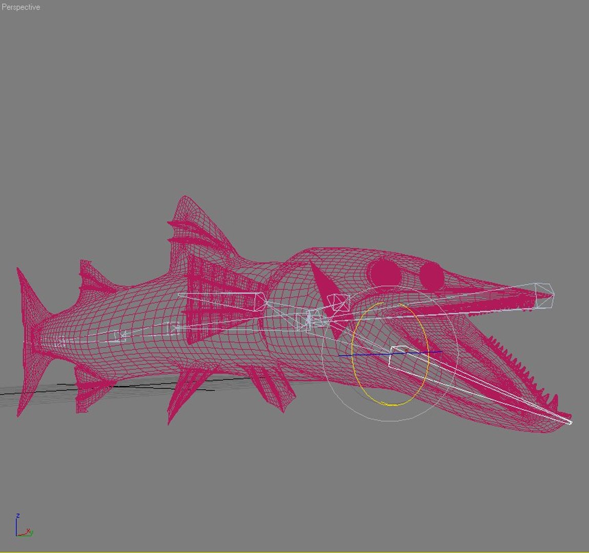 Killer Barracuda 3d Model
