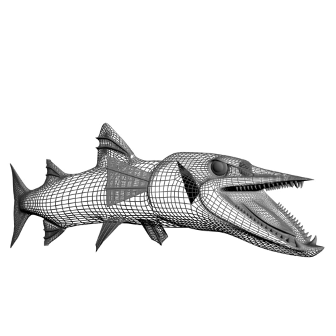 Killer Barracuda 3d Model