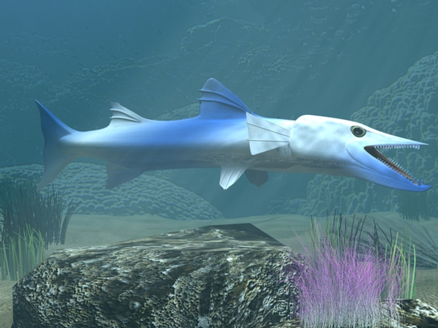 Killer Barracuda 3d Model