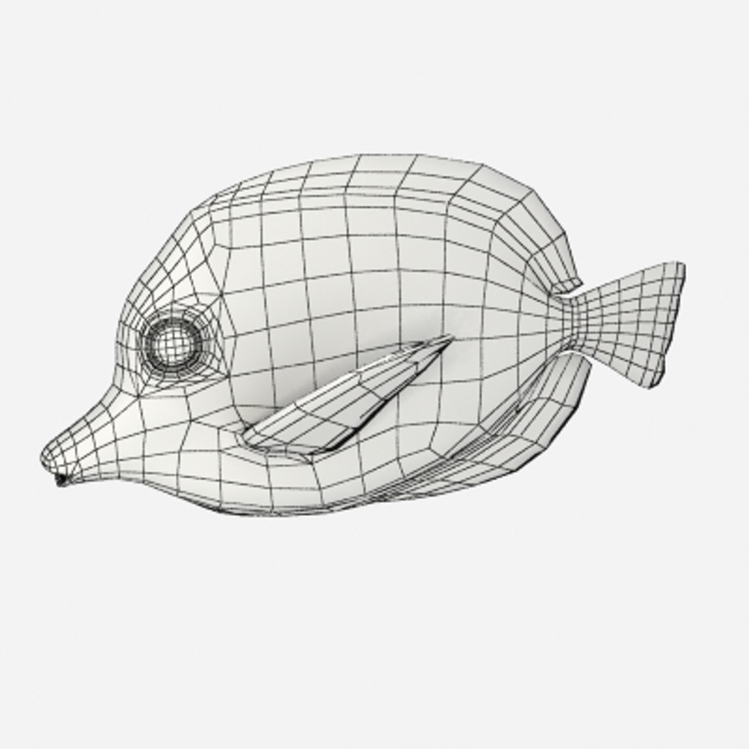 Maya Set Coral Reef Fish