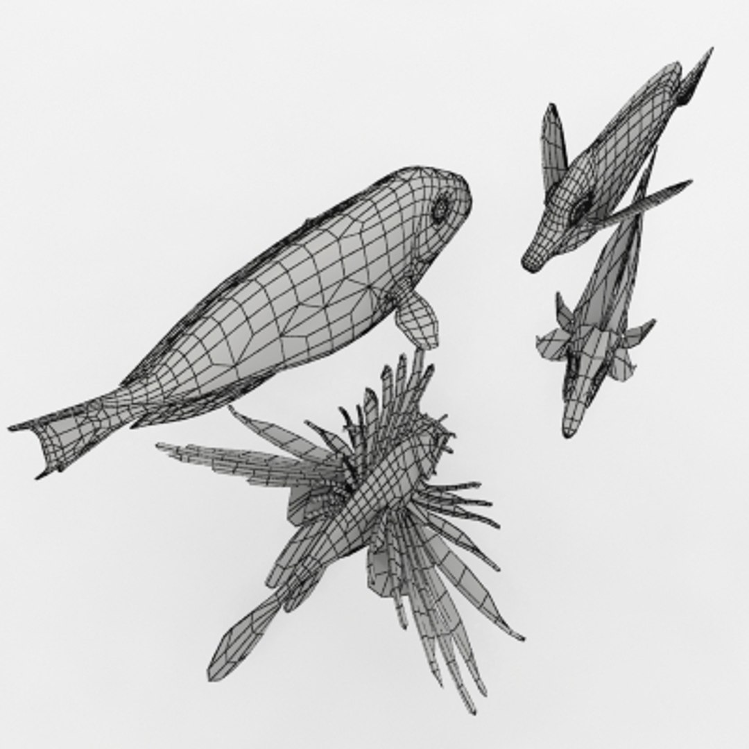 Maya Set Coral Reef Fish