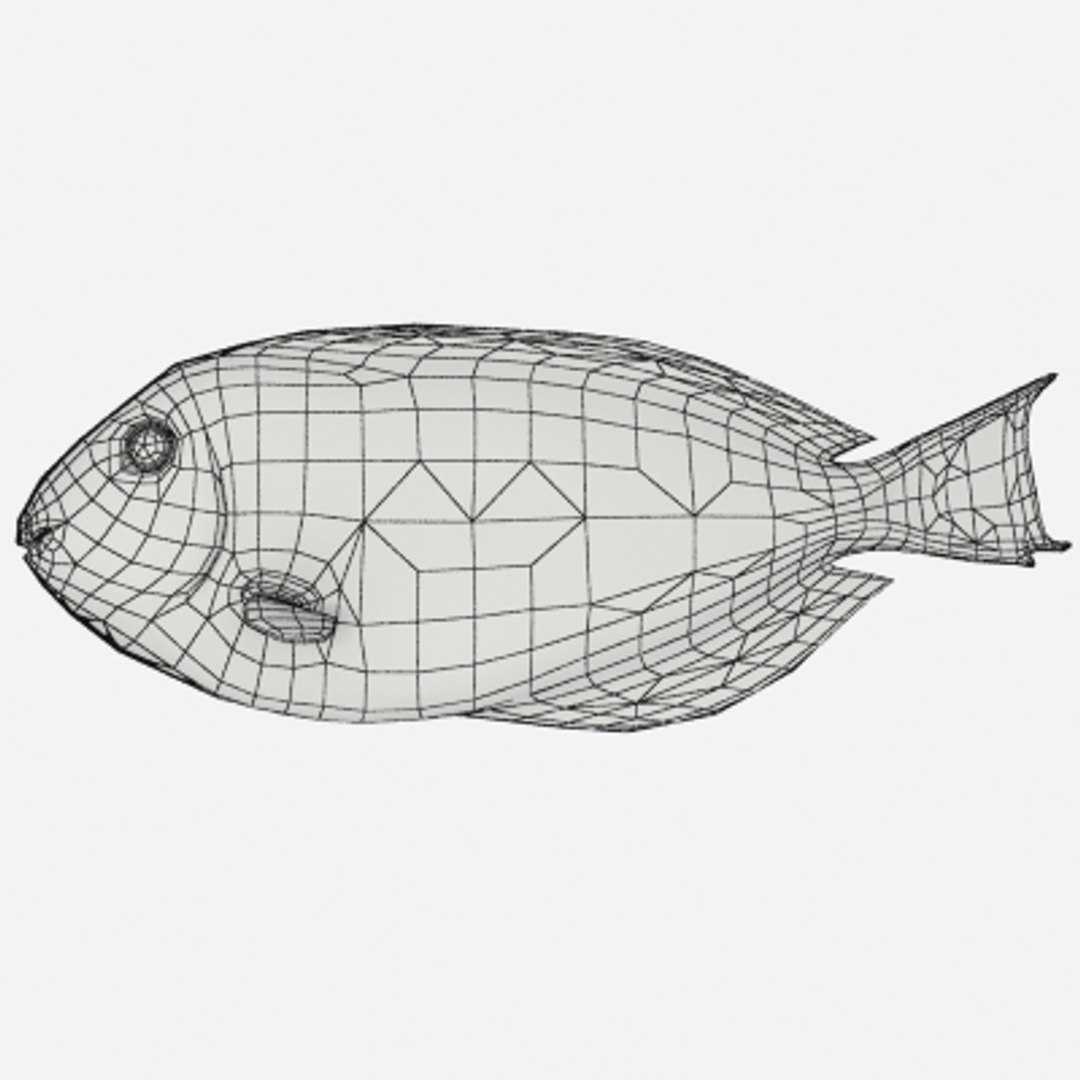 Maya Set Coral Reef Fish