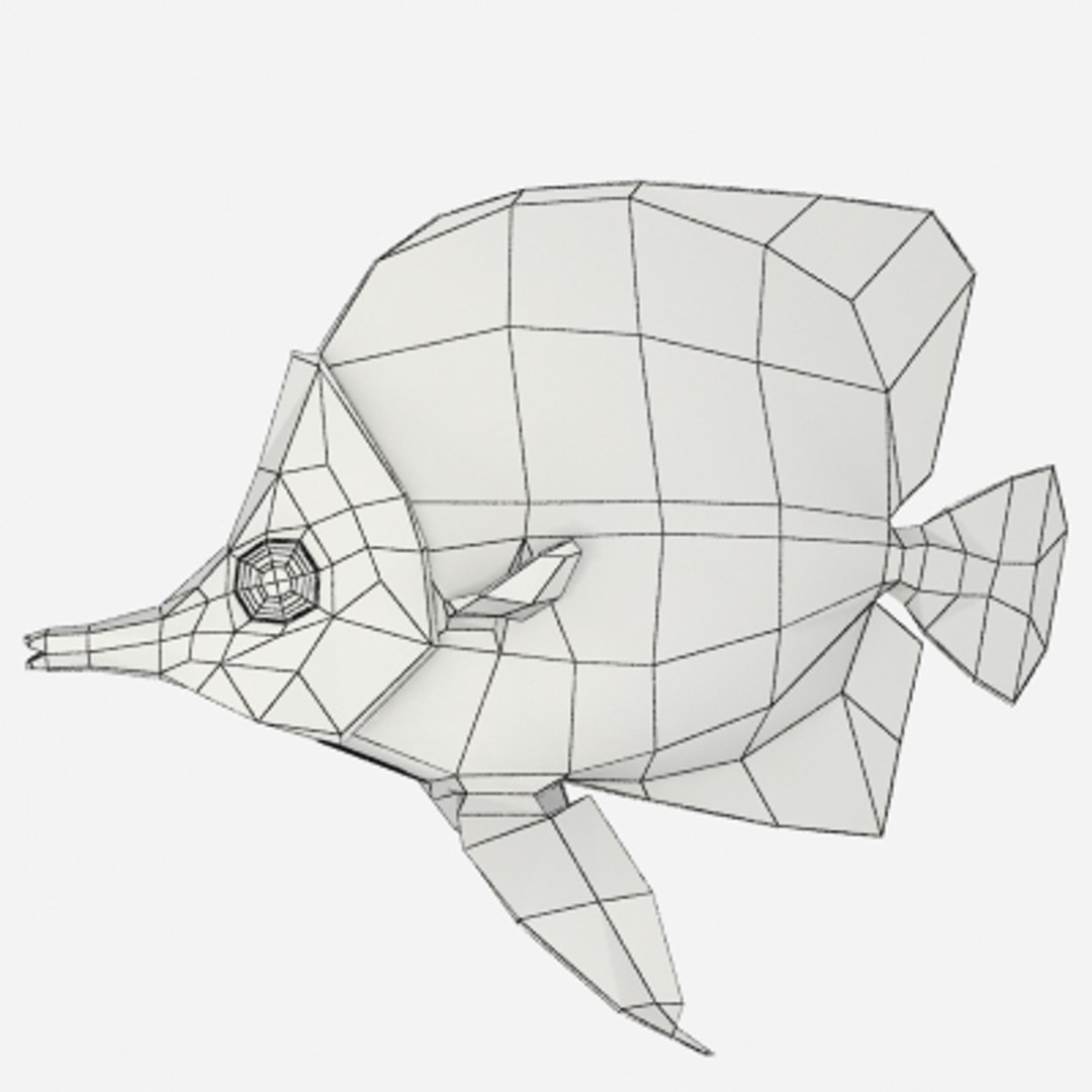 Maya Set Coral Reef Fish