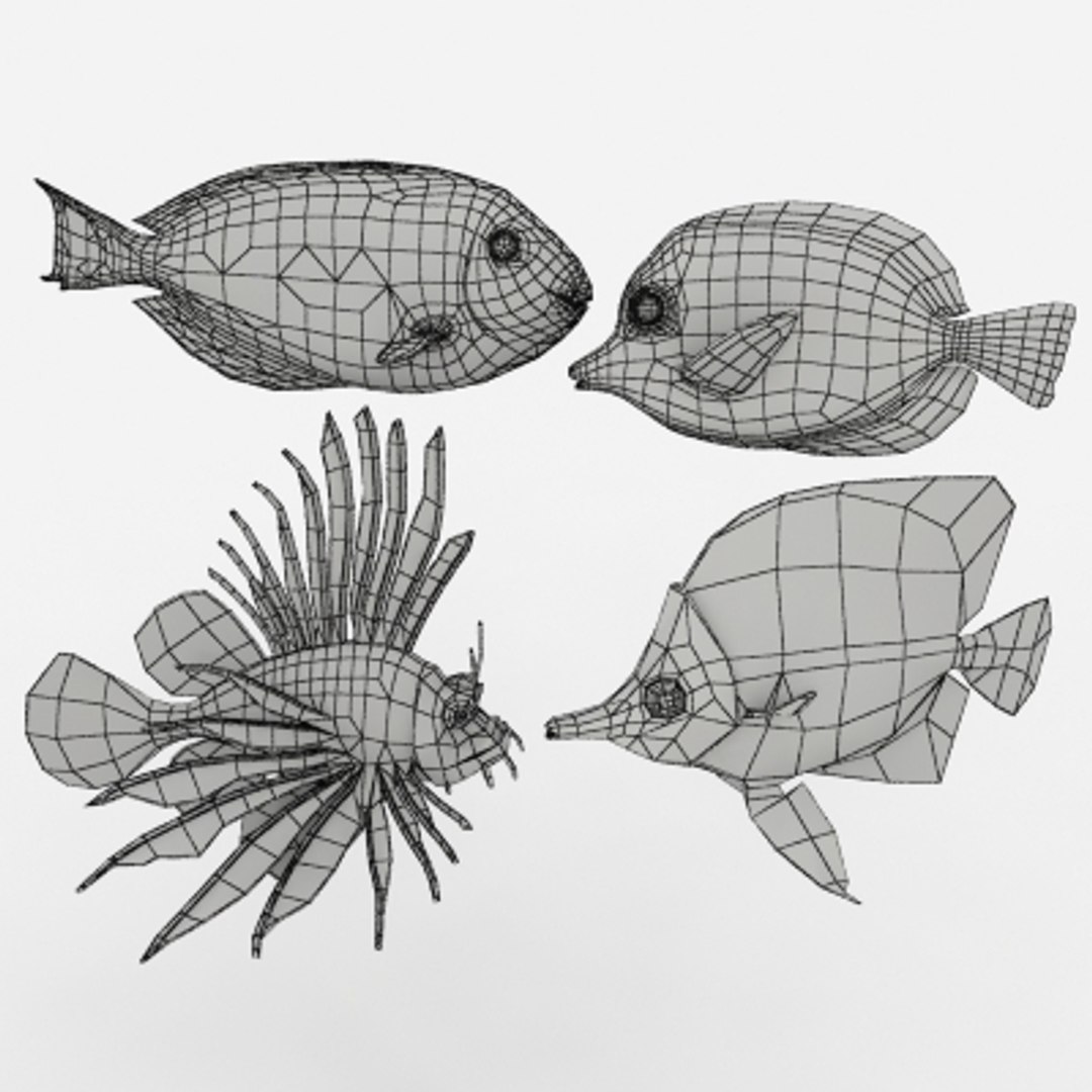 Maya Set Coral Reef Fish