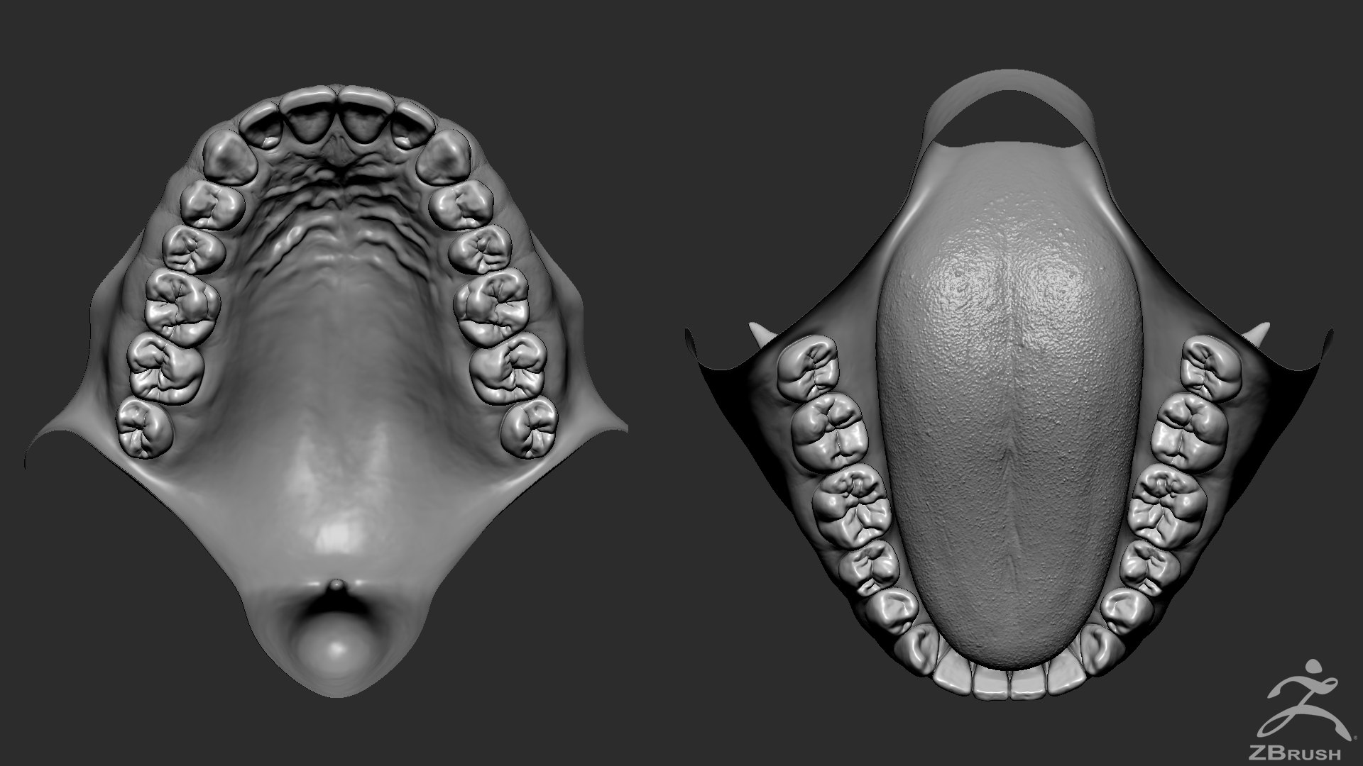 3D High Poly Mouth Model - TurboSquid 1780218