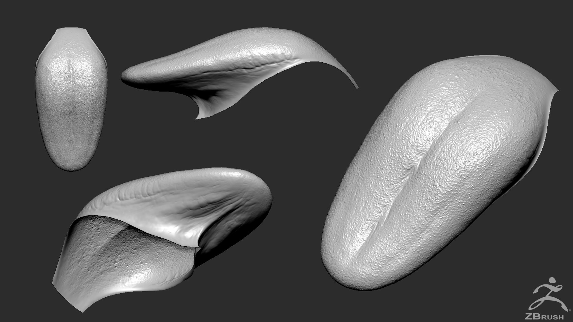 3D High Poly Mouth Model - TurboSquid 1780218
