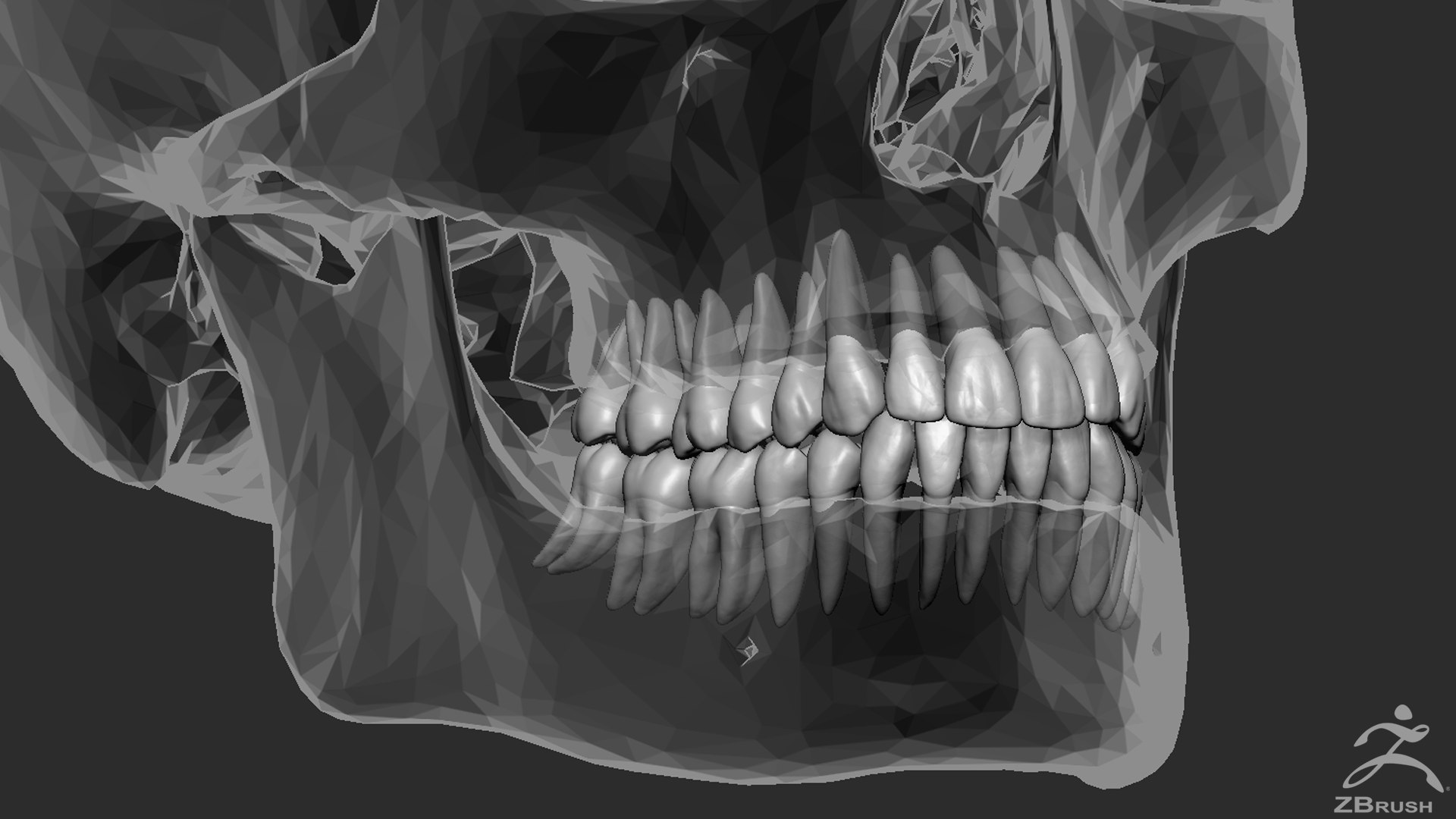 3D High Poly Mouth Model - TurboSquid 1780218