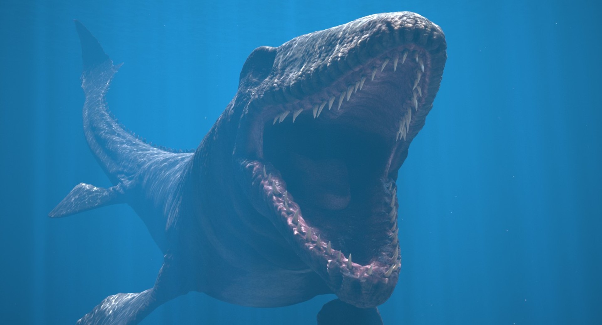 Rigged Mosasaurus 3D Model - TurboSquid 1361456