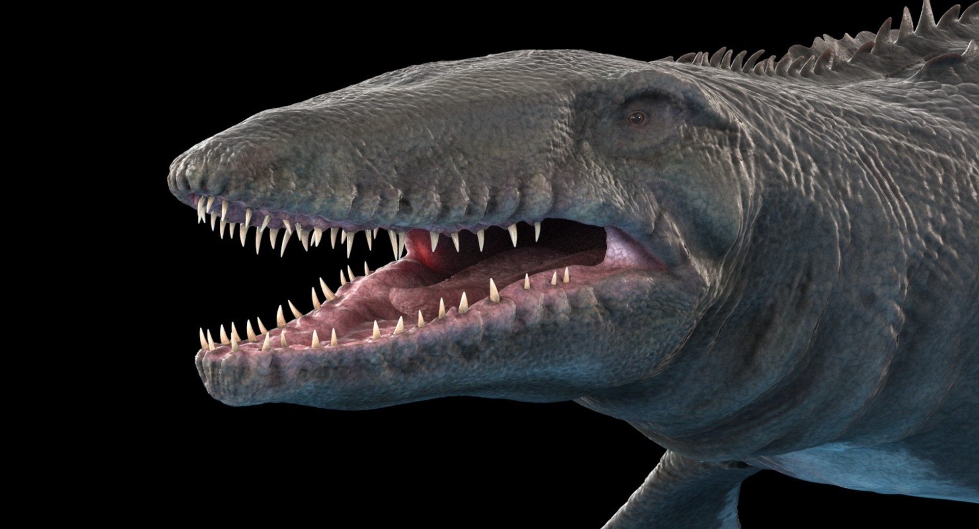 Rigged Mosasaurus 3D Model - TurboSquid 1361456