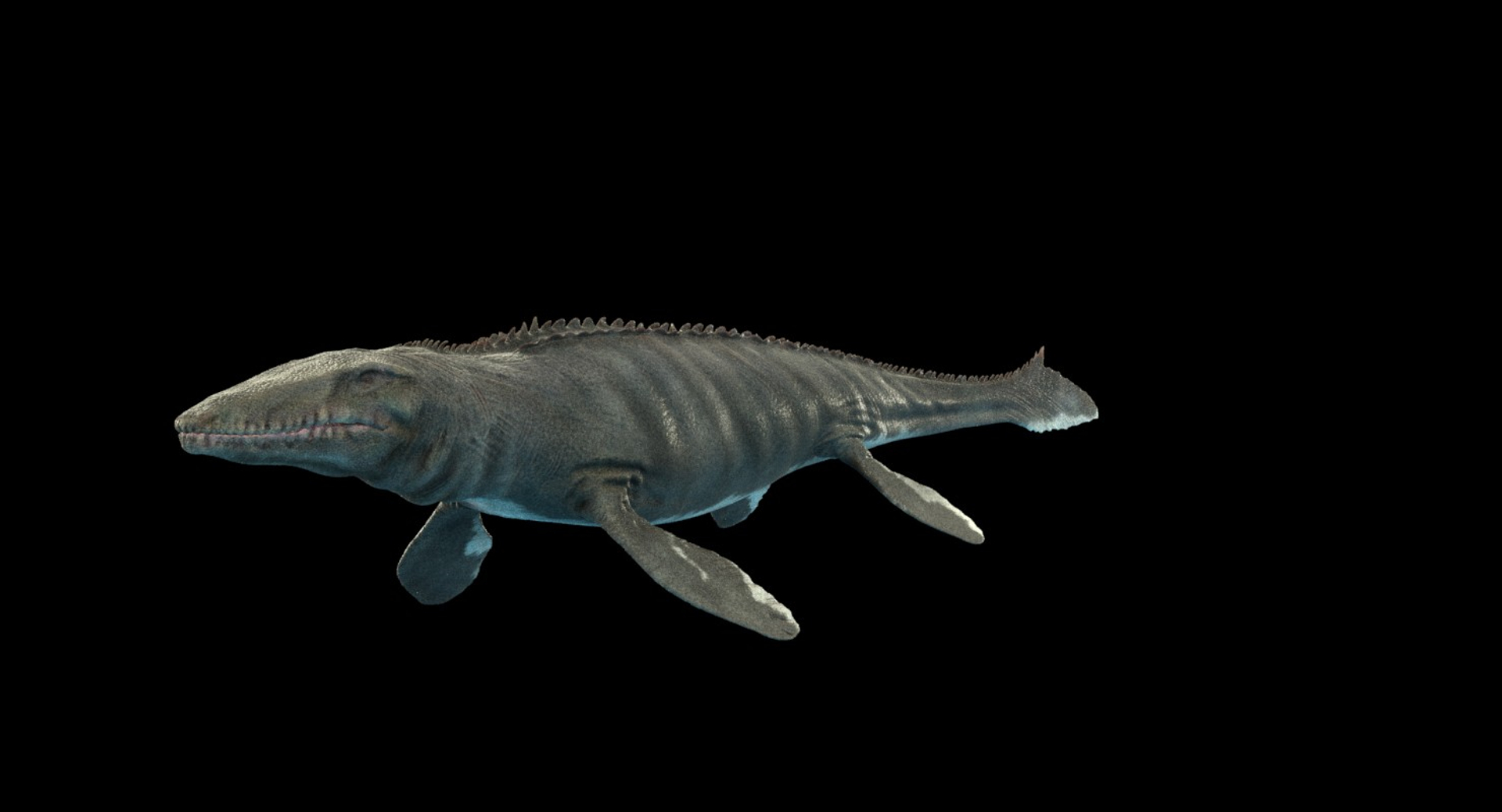 Rigged Mosasaurus 3D Model - TurboSquid 1361456