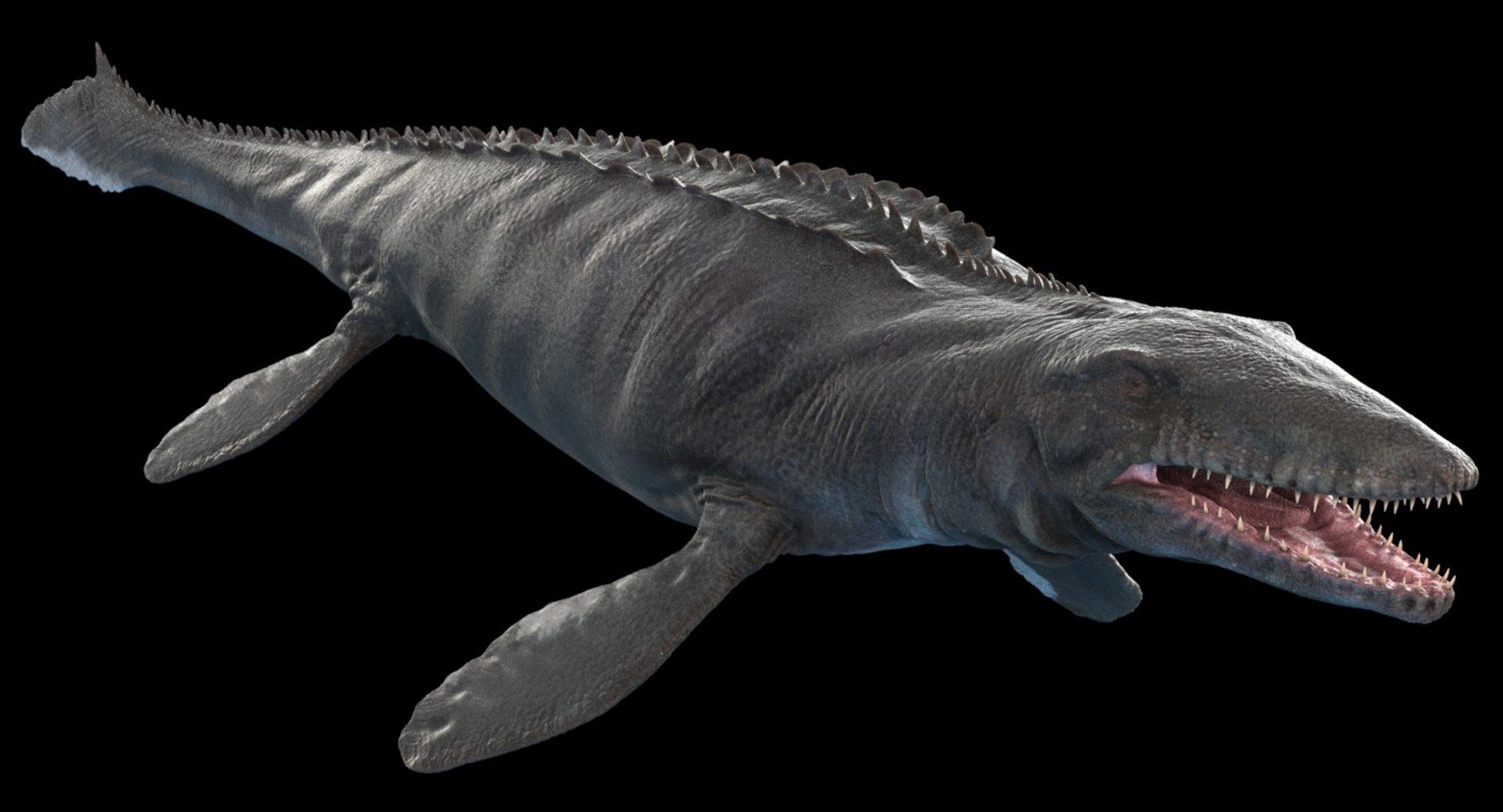 Rigged Mosasaurus 3D Model - TurboSquid 1361456