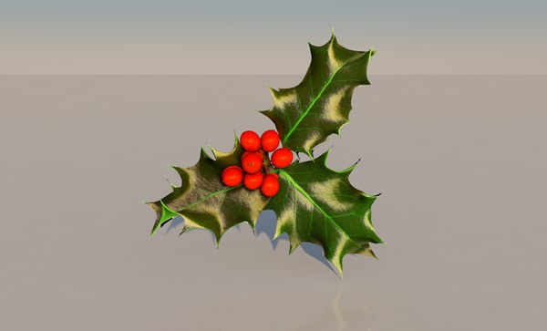 3D holly christmas plant model - TurboSquid 1484512