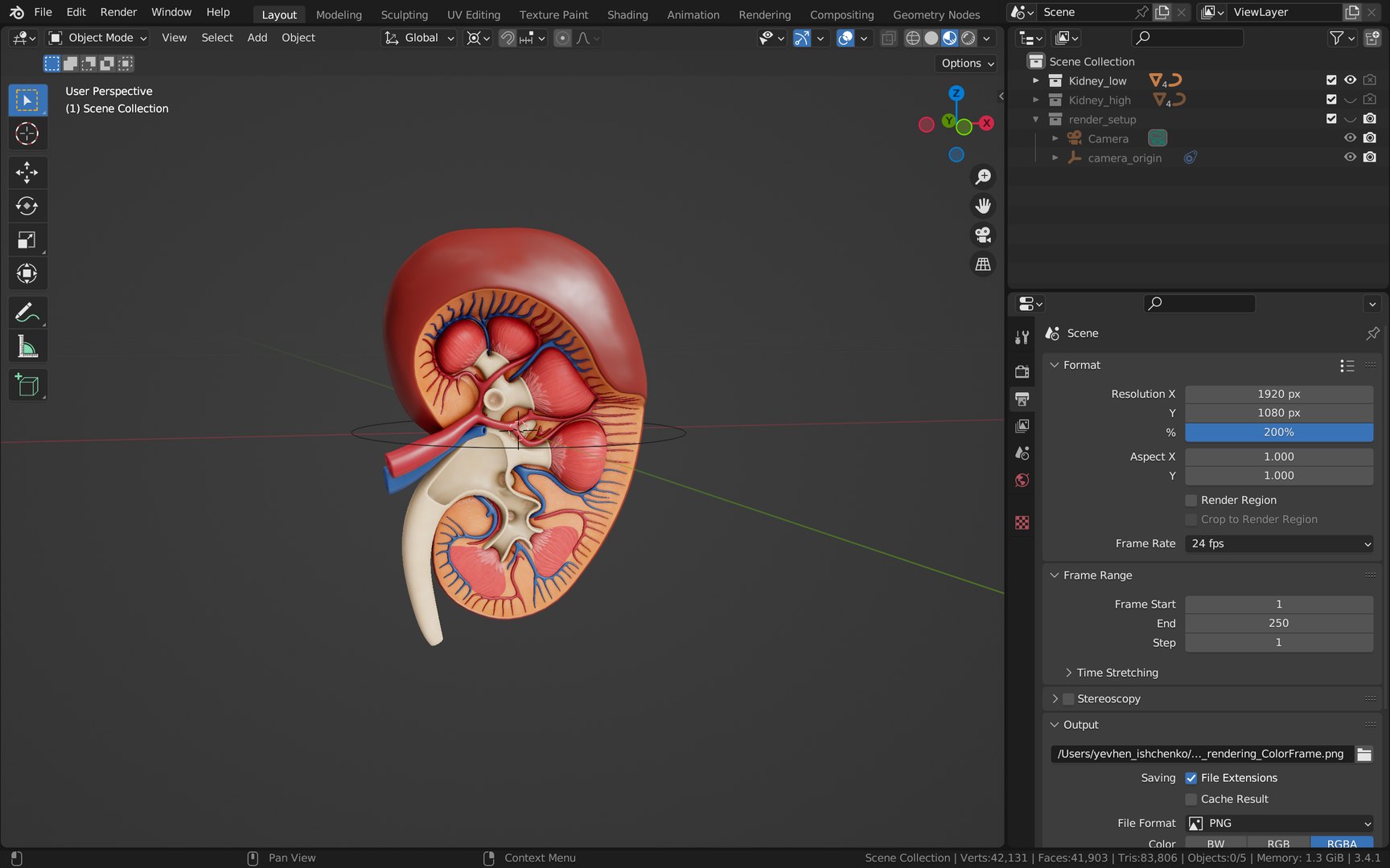 Professional Human Kidney 3D Model 3D Model - TurboSquid 2037082