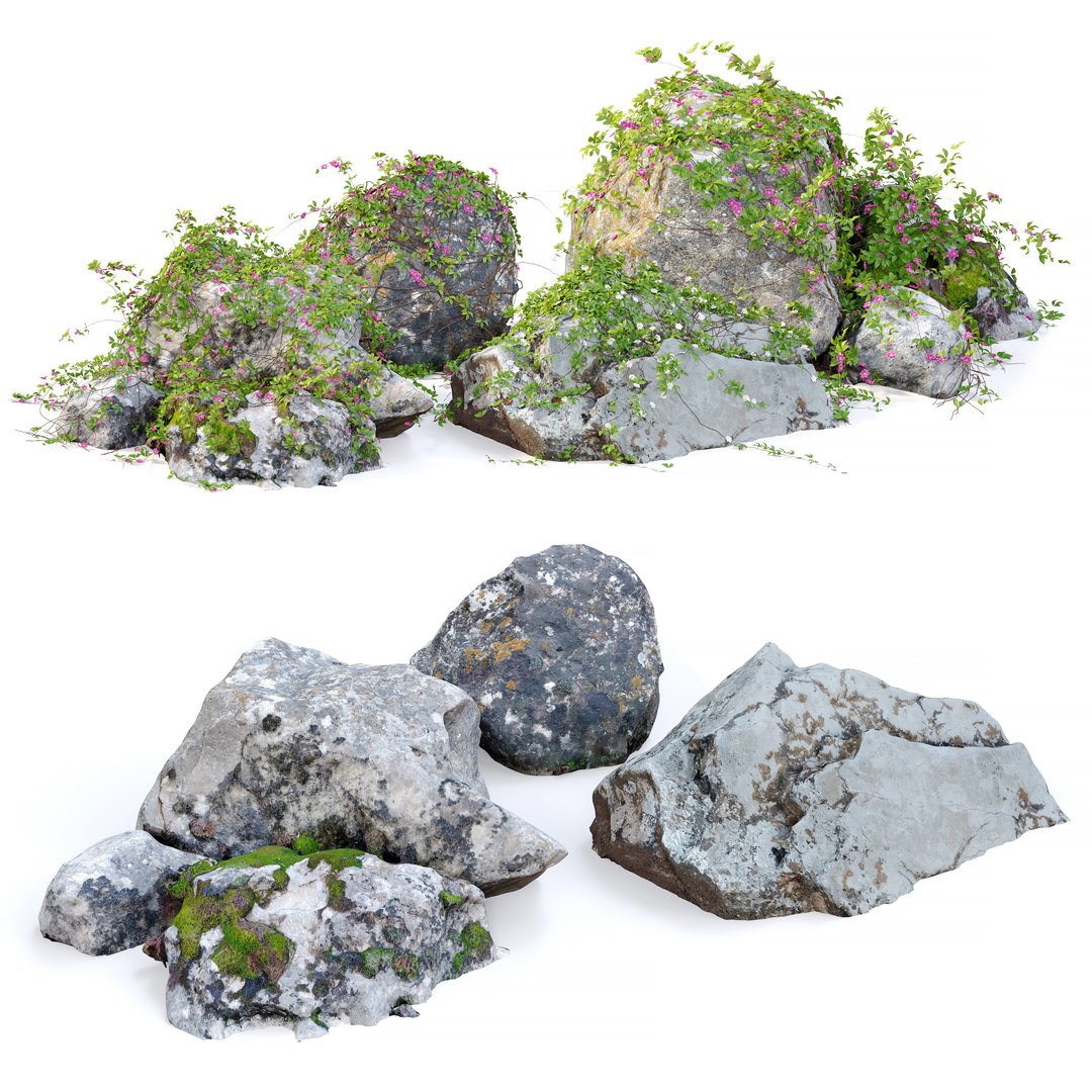 3D Creeper On Rock Model - TurboSquid 1940437