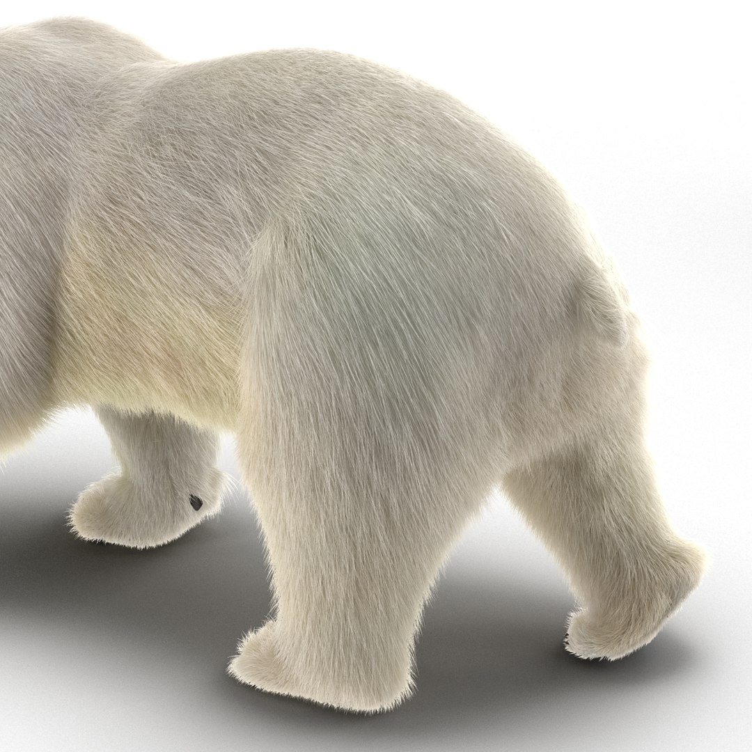 polar bear fur pose max