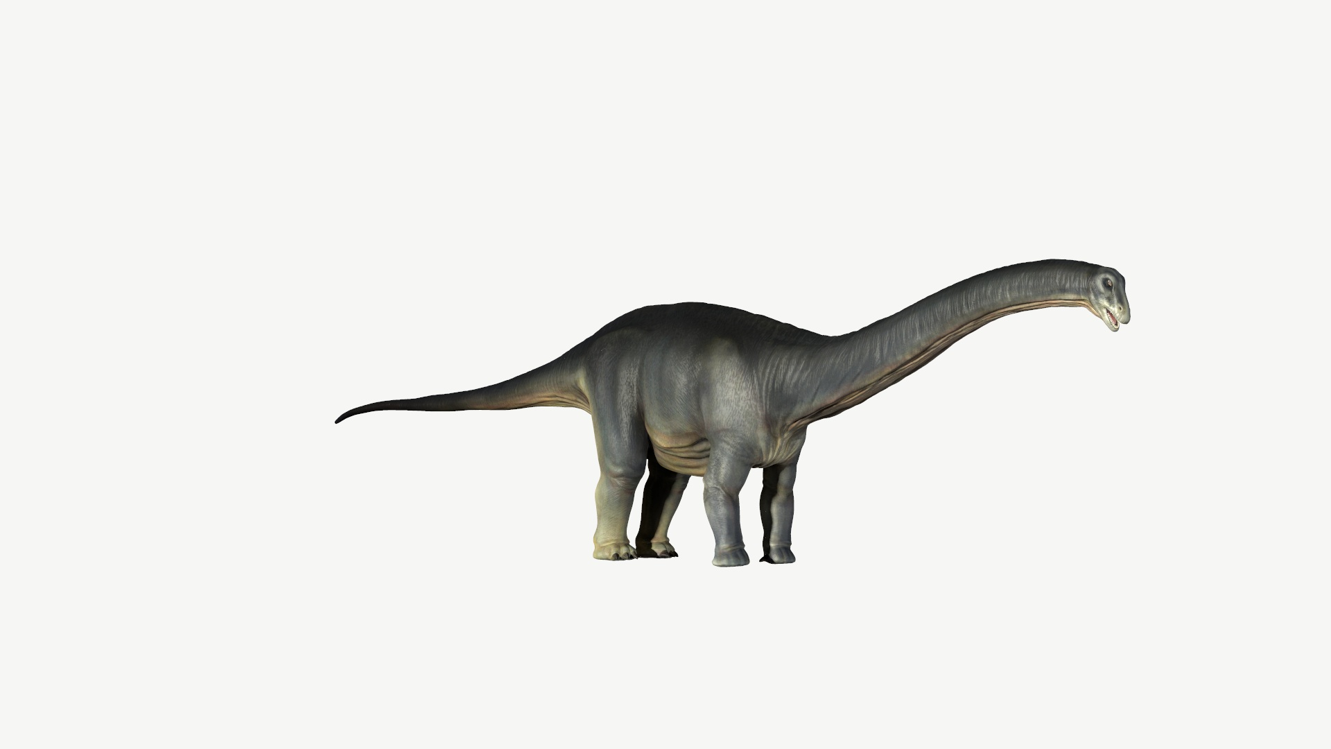 3d Apatosaurus Tyrannosaurus Rex Model