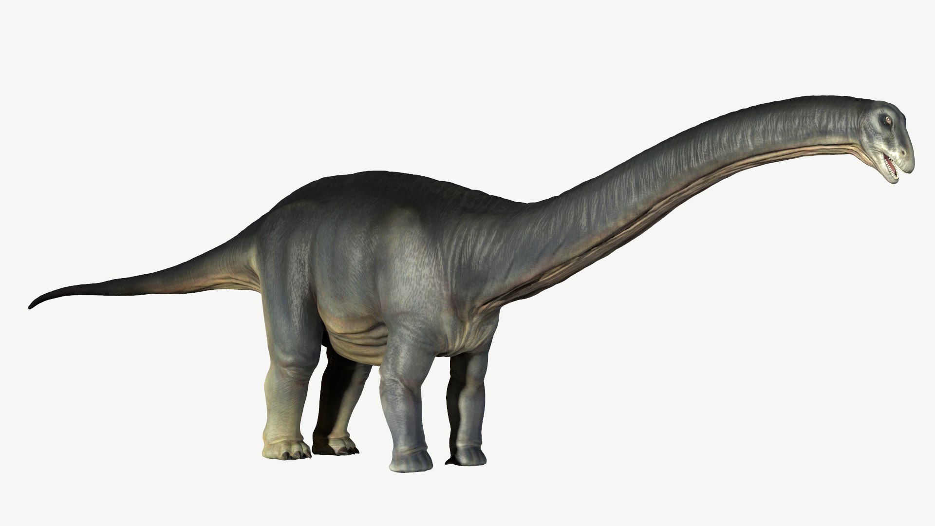 3d Apatosaurus Tyrannosaurus Rex Model
