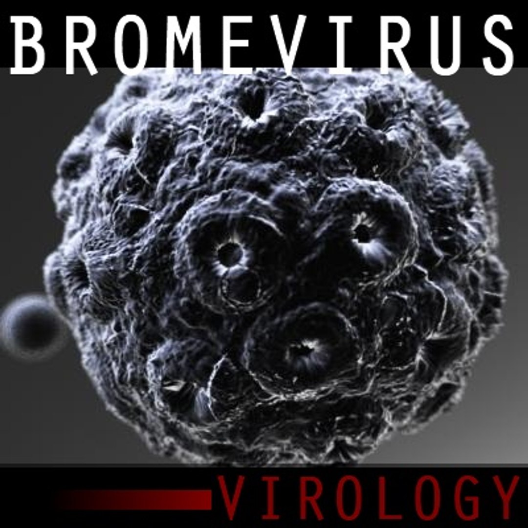 20 Viruses Virus Max