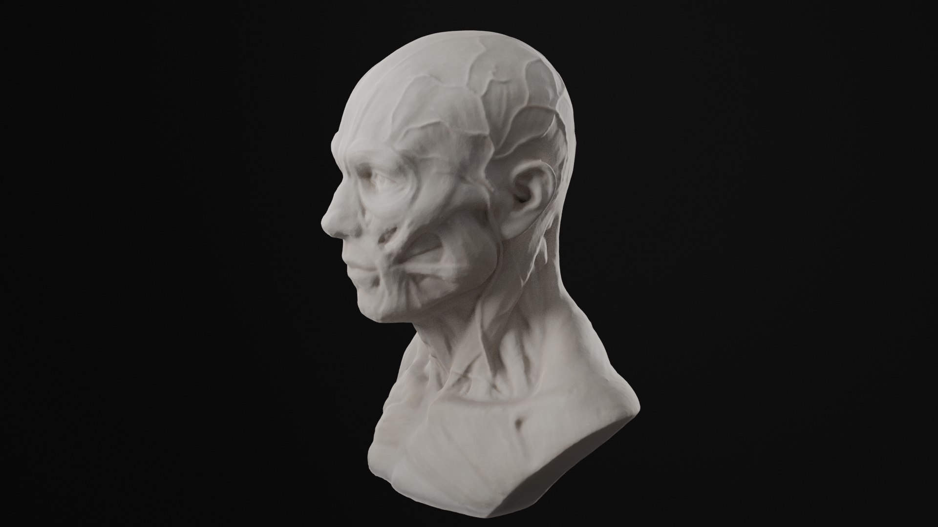 3D Statue - TurboSquid 1811998
