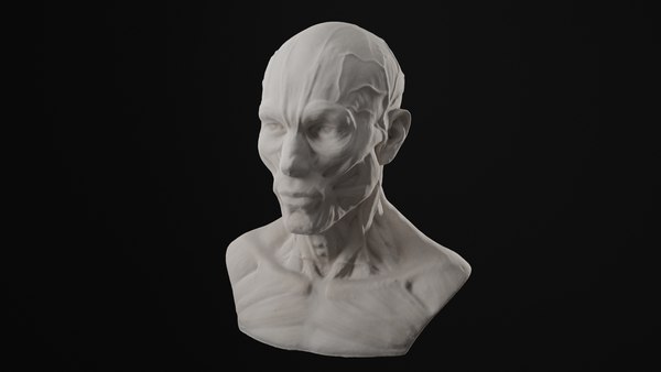 modelo 3d Estatua - TurboSquid 1811998