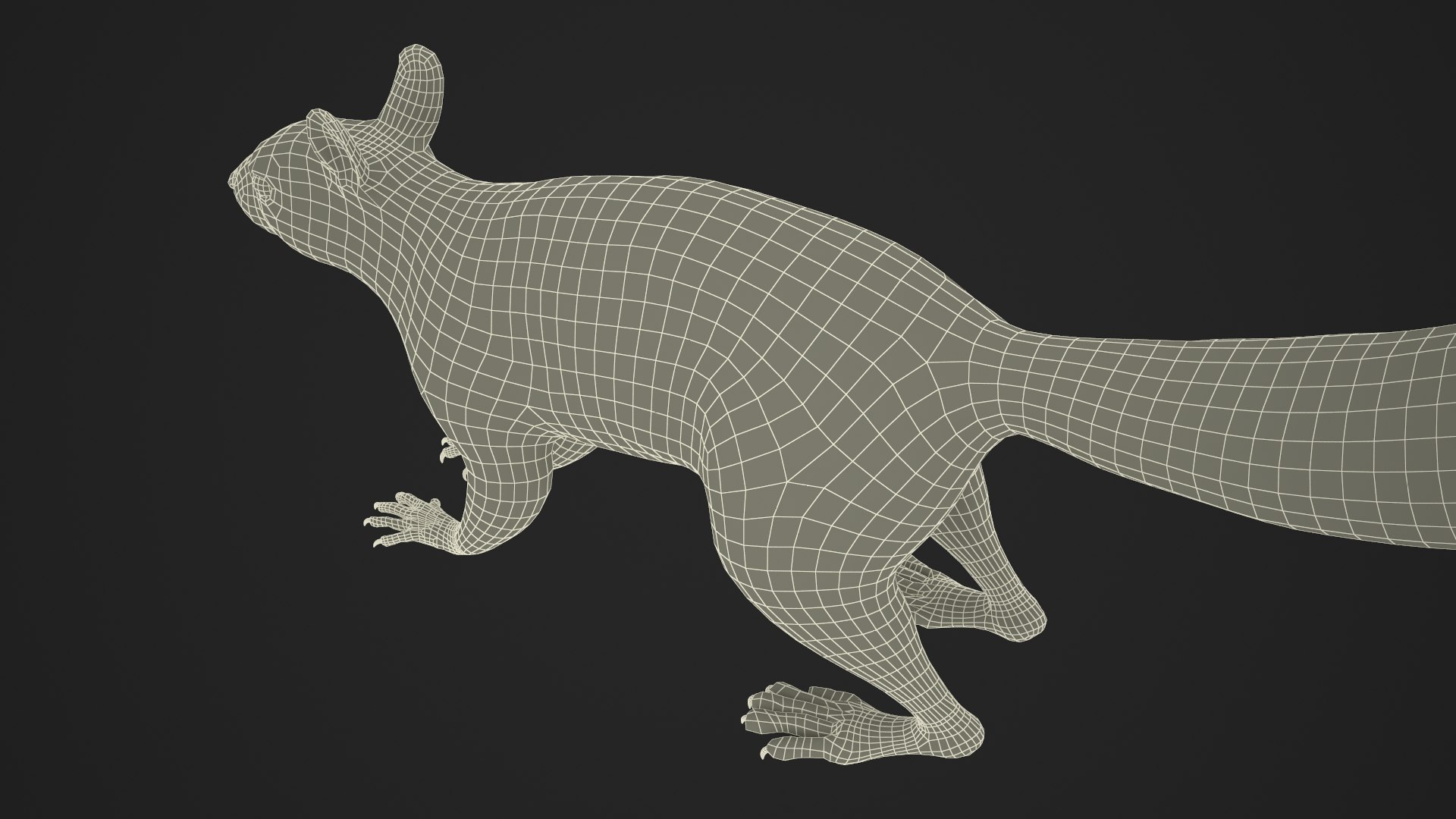 Red Squirrel Rigged For Maya 3D Model - TurboSquid 2279736