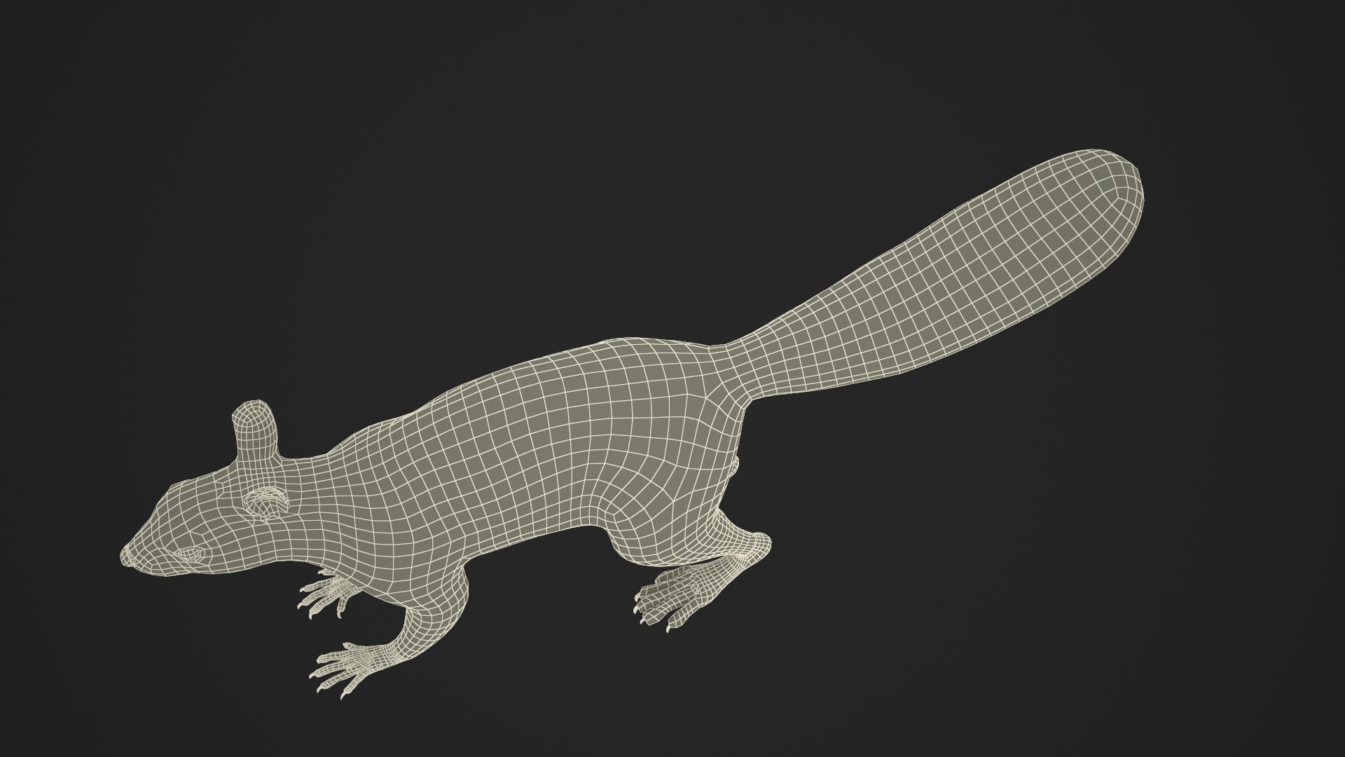 Red Squirrel Rigged For Maya 3D Model - TurboSquid 2279736