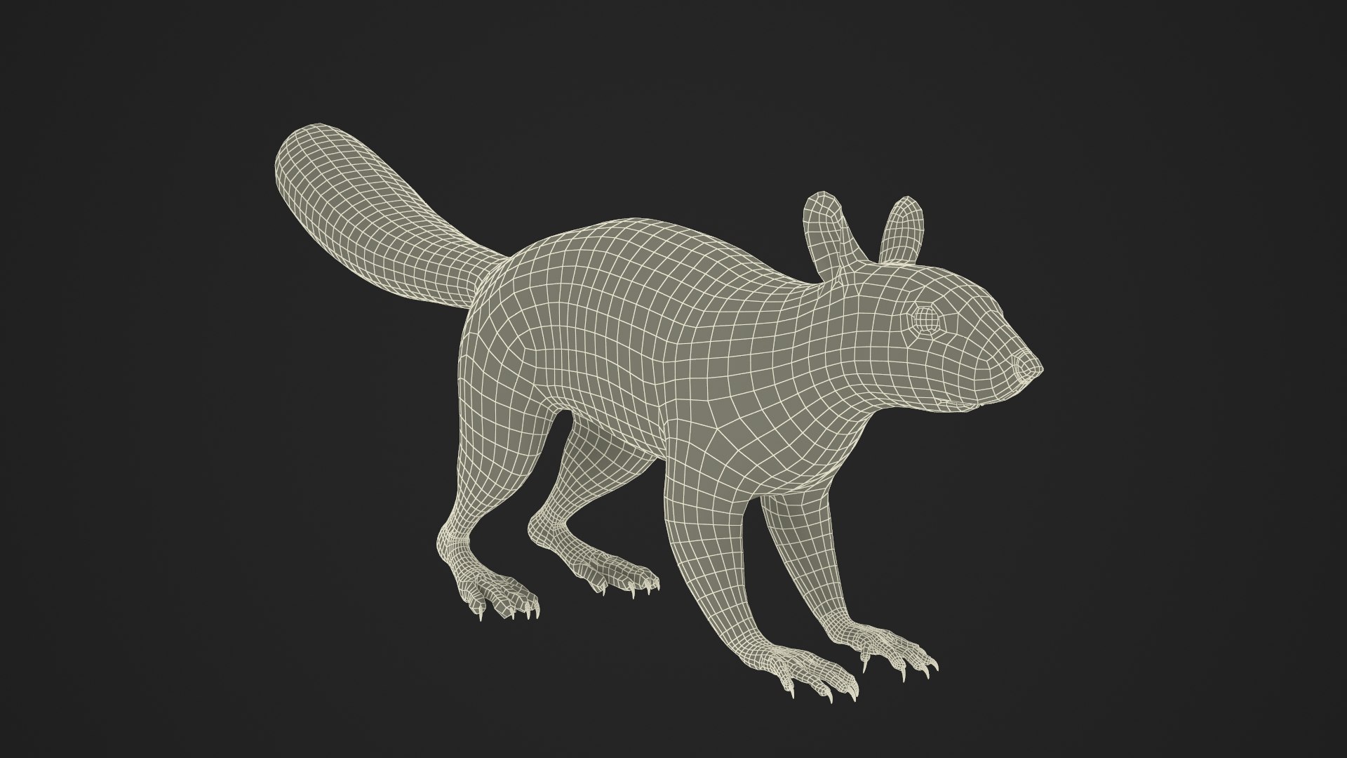 Red Squirrel Rigged For Maya 3D Model - TurboSquid 2279736