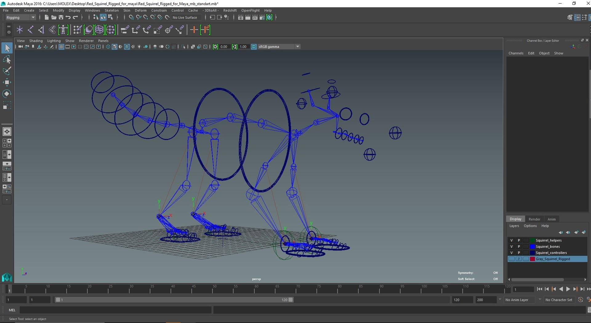 Red Squirrel Rigged For Maya 3D Model - TurboSquid 2279736
