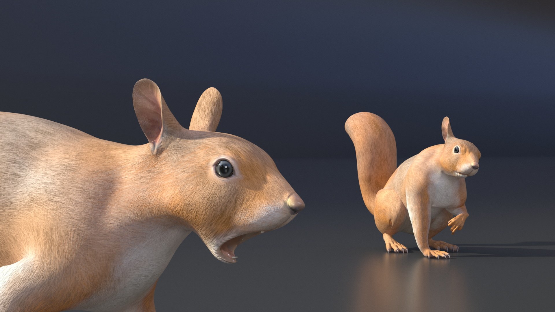 Red Squirrel Rigged For Maya 3D Model - TurboSquid 2279736