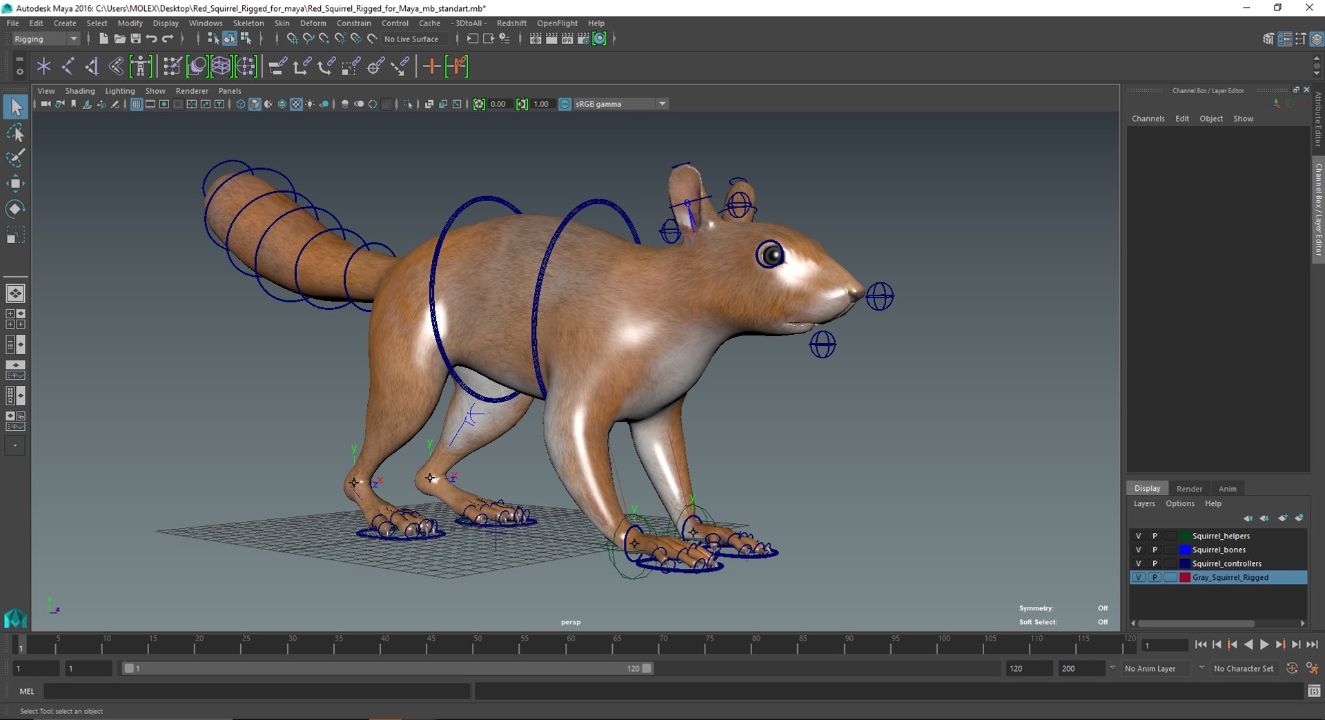Red Squirrel Rigged For Maya 3D Model - TurboSquid 2279736