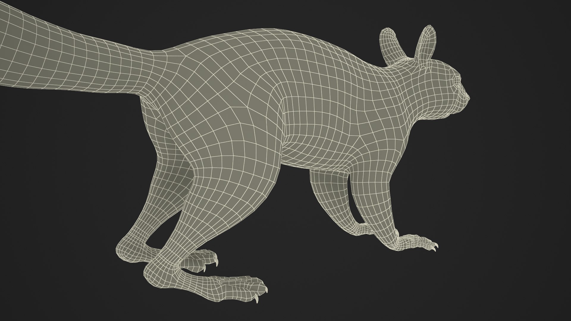 Red Squirrel Rigged For Maya 3D Model - TurboSquid 2279736