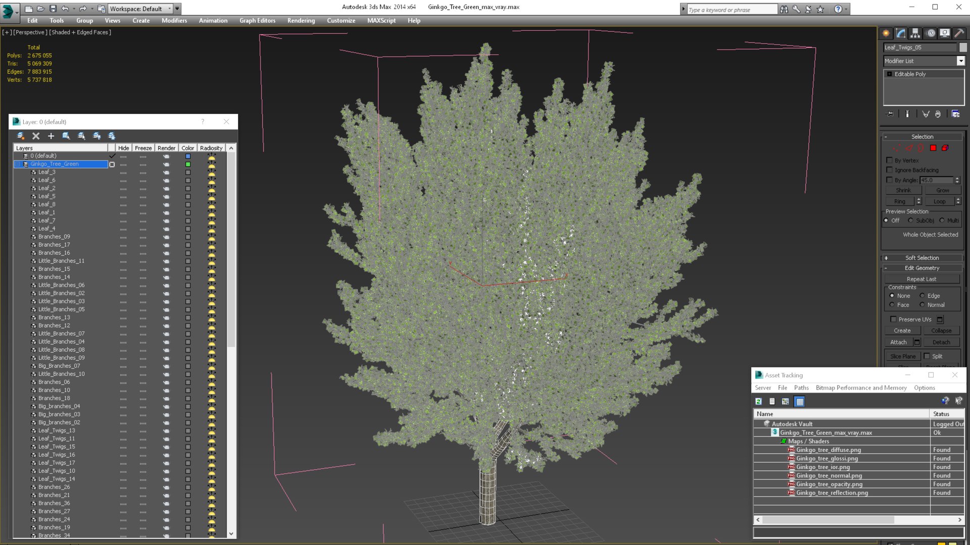 Ginkgo Tree Green 3D Model - TurboSquid 1848580